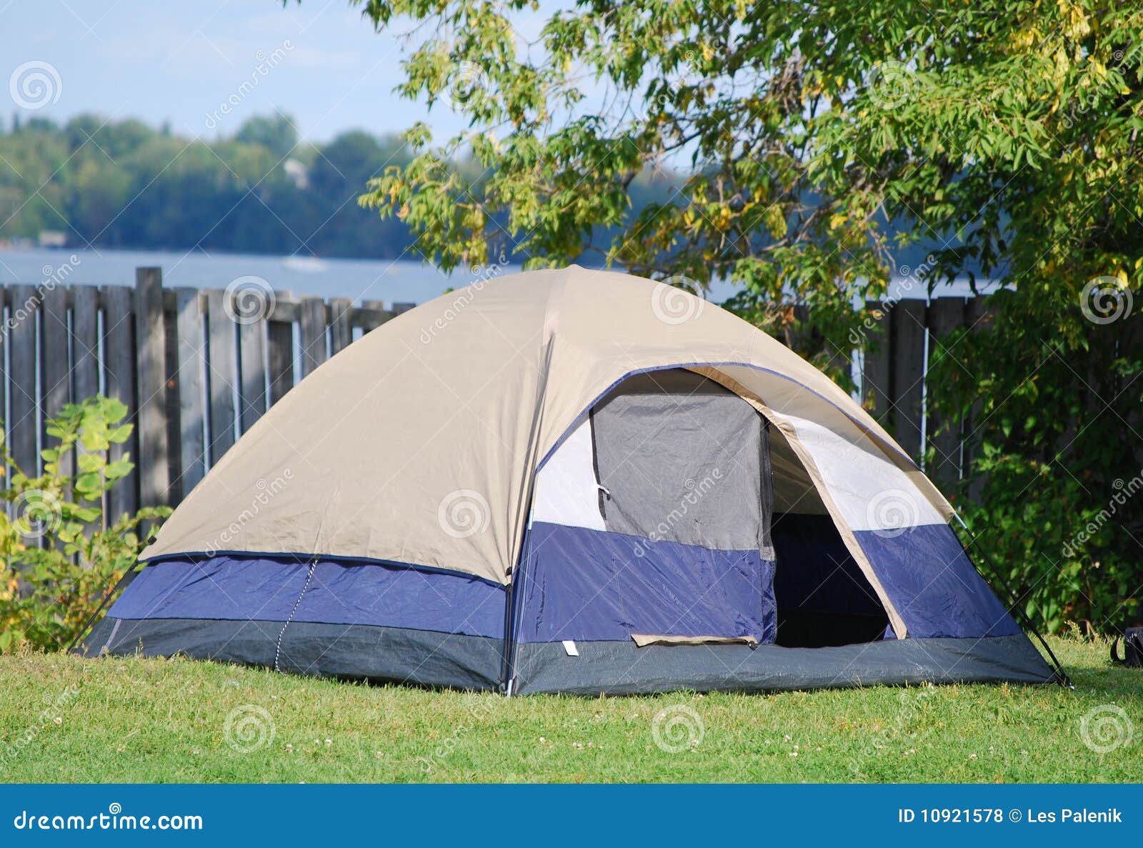 Blue tent stock photo. Image of lawn, grass, fence, summer - 10921578