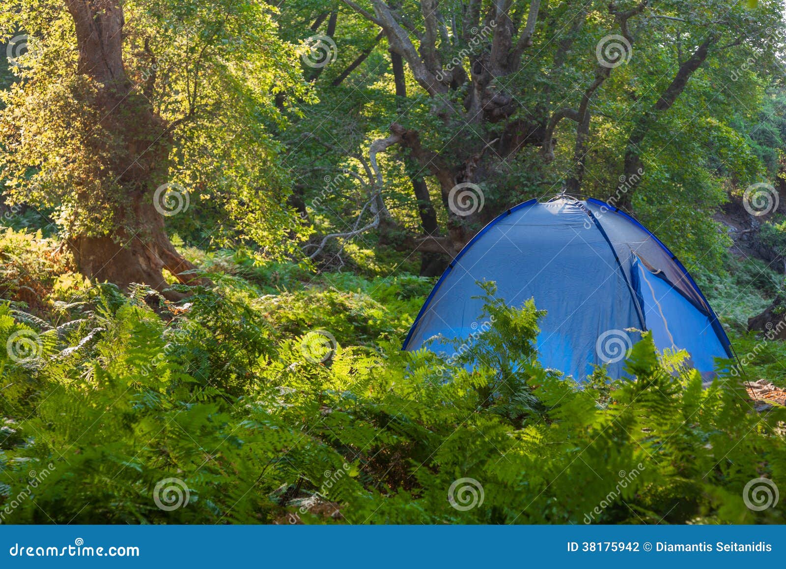 Blue tent in the forest stock photo. Image of vacation - 38175942