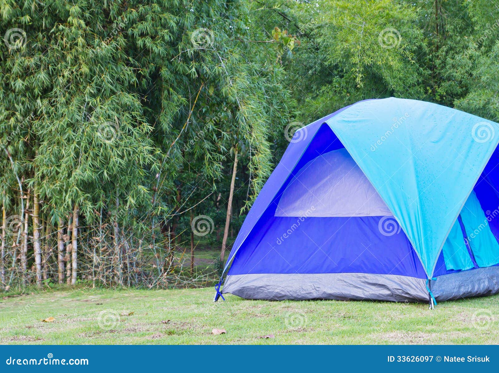 Blue tent stock image. Image of canvas, tent, tree, tourism - 33626097