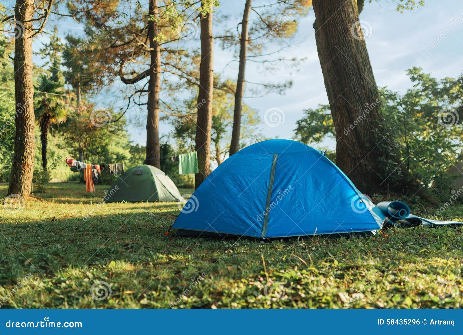 Blue Tent in the Woods on Grass Stock Photo - Image of park, hiking ...
