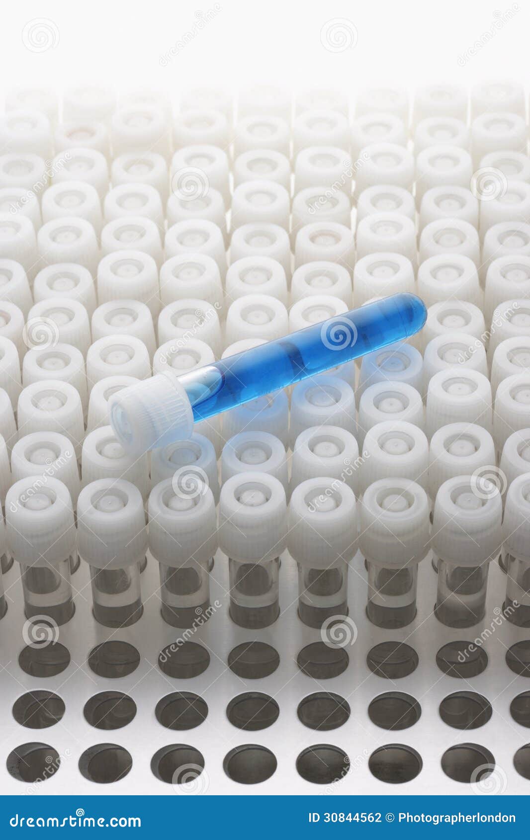 Blue Test Tube Lying on Empty Test Tubes Stock Photo - Image of view ...