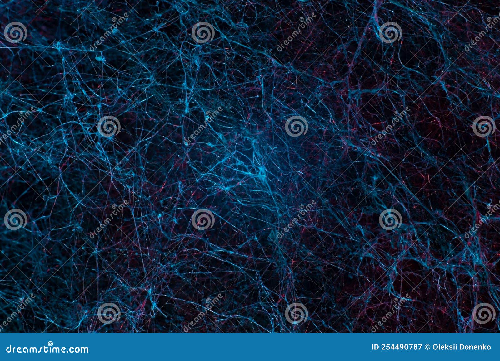 Blue Texture Network Abstraction Natural Mycelium Mold Neurons Stock ...