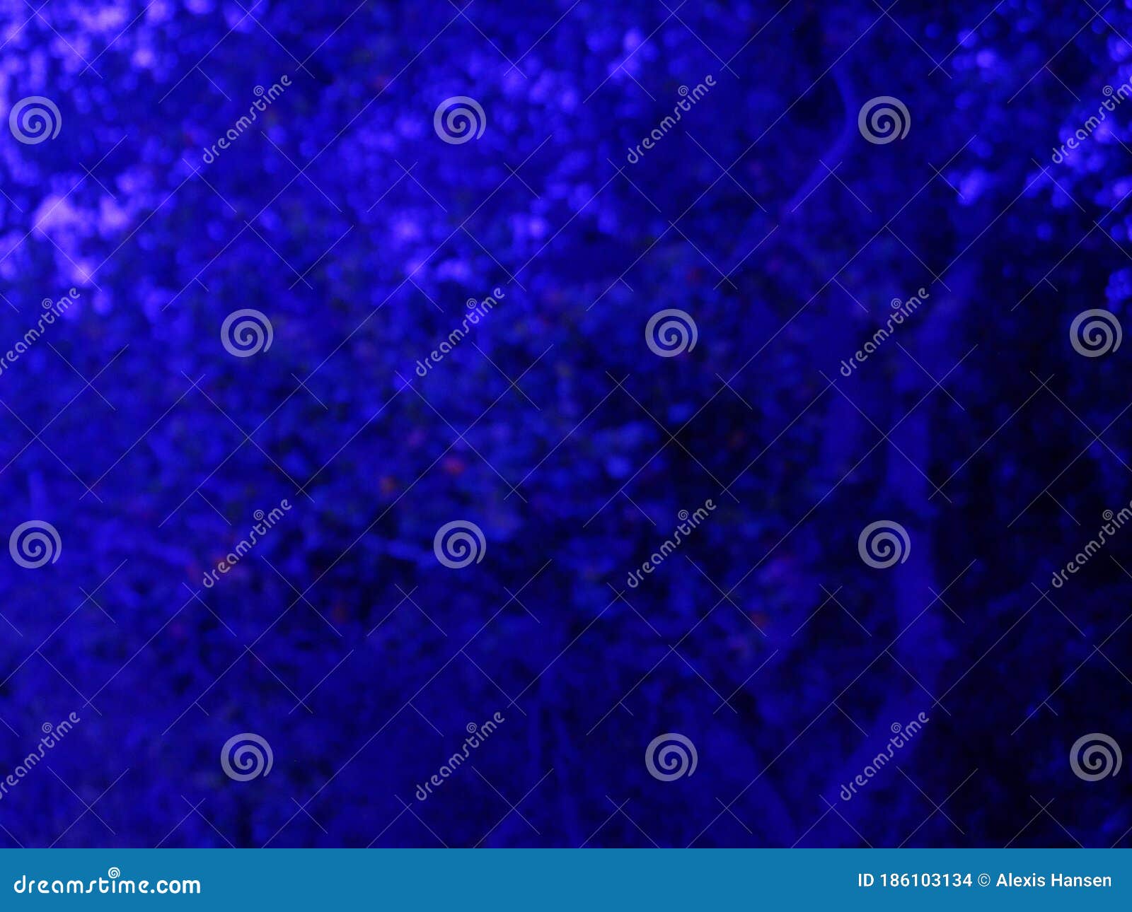 Blue Texture Sparkling Trees Stock Photo - Image of abstract, distorted ...