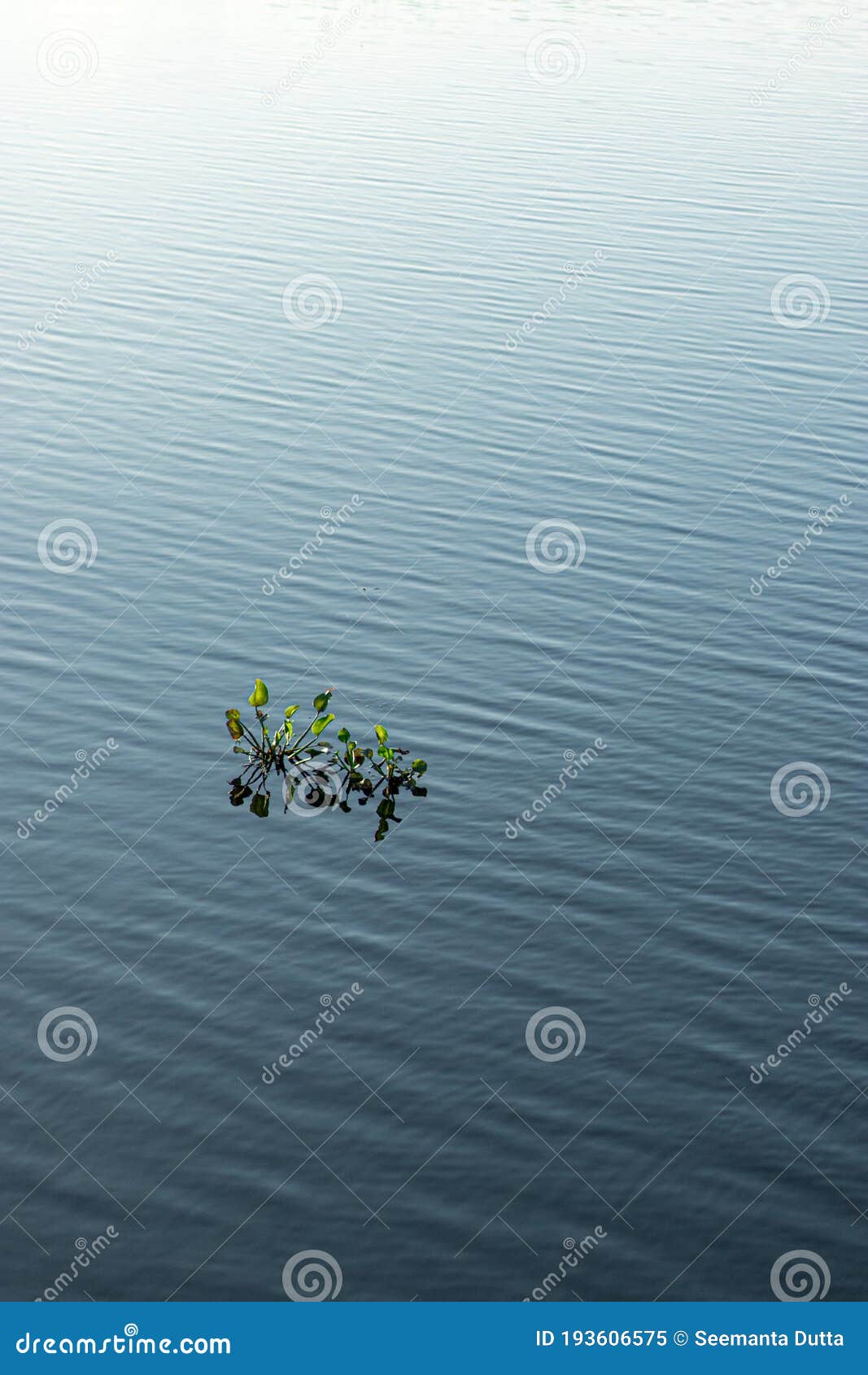 Blue Texture of Water in a Pond. Stock Image - Image of texture ...