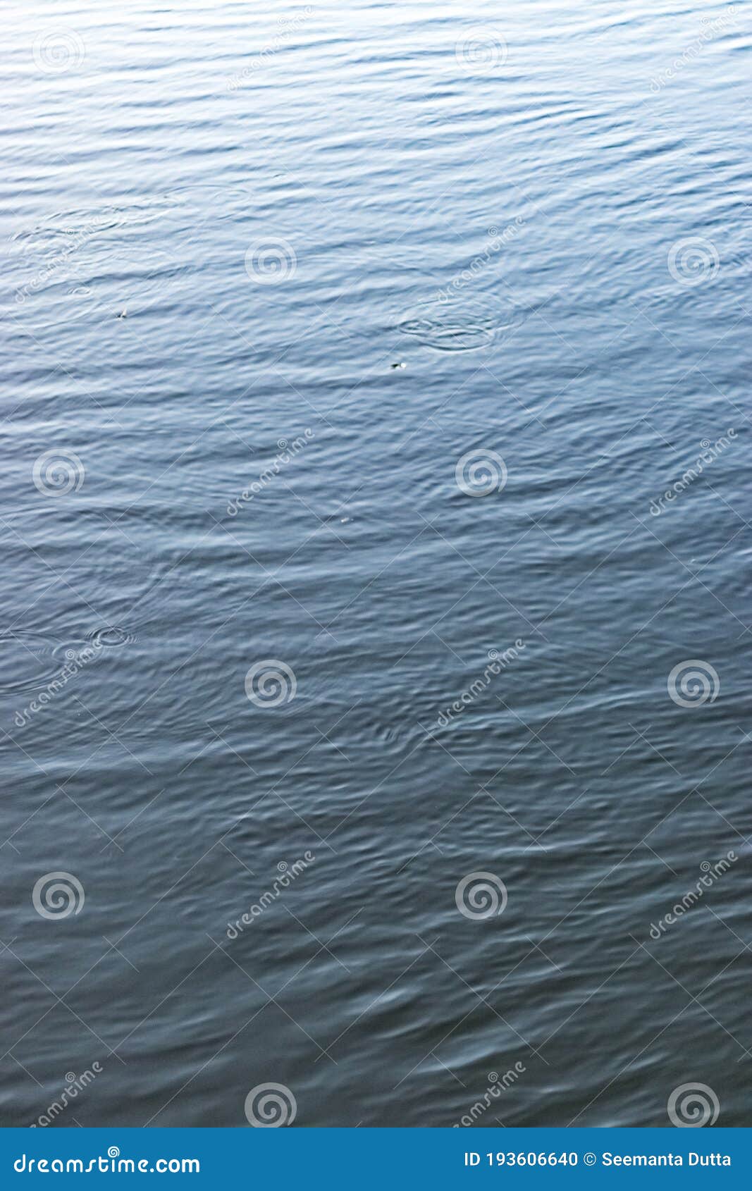 Blue Texture of Water in a Pond. Stock Photo - Image of single, texture ...