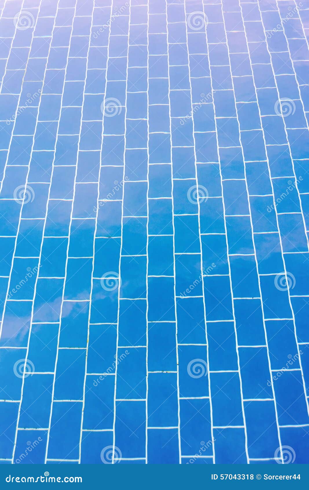 Blue Tiled Floor of a Pool Under Clear Water Stock Photo - Image of ...