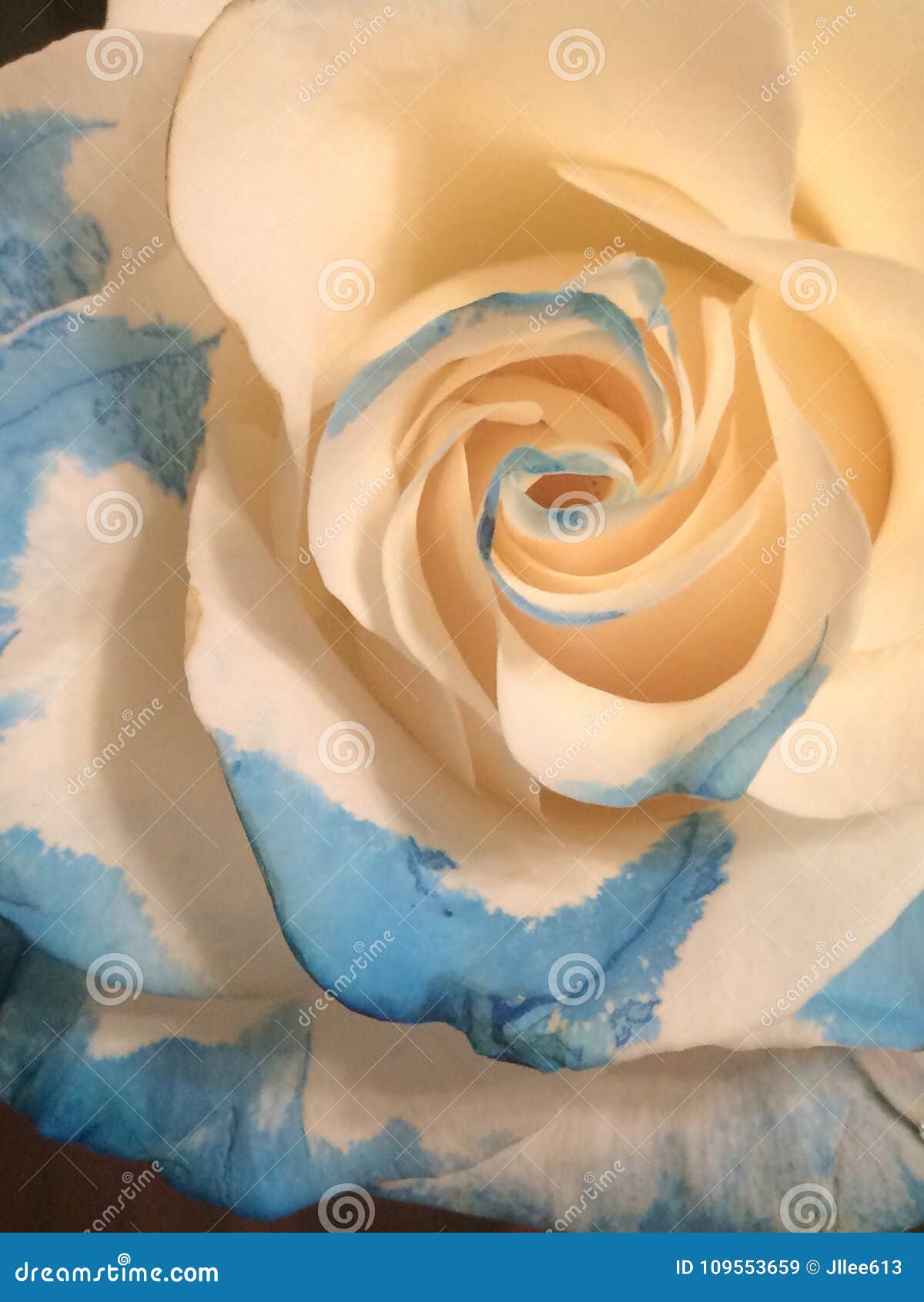 A Touch of Blue stock illustration. Illustration of blue - 109553659