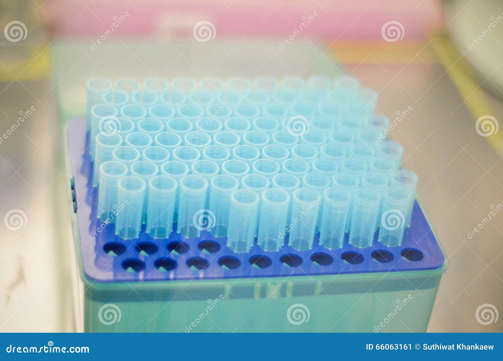Blue Tips stock image. Image of science, preparing, rack - 66063161