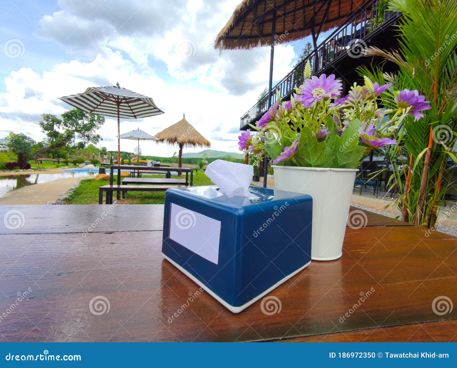 Blue Tissue Box on Wood Table in Outdoor Restaurant Stock Photo - Image ...