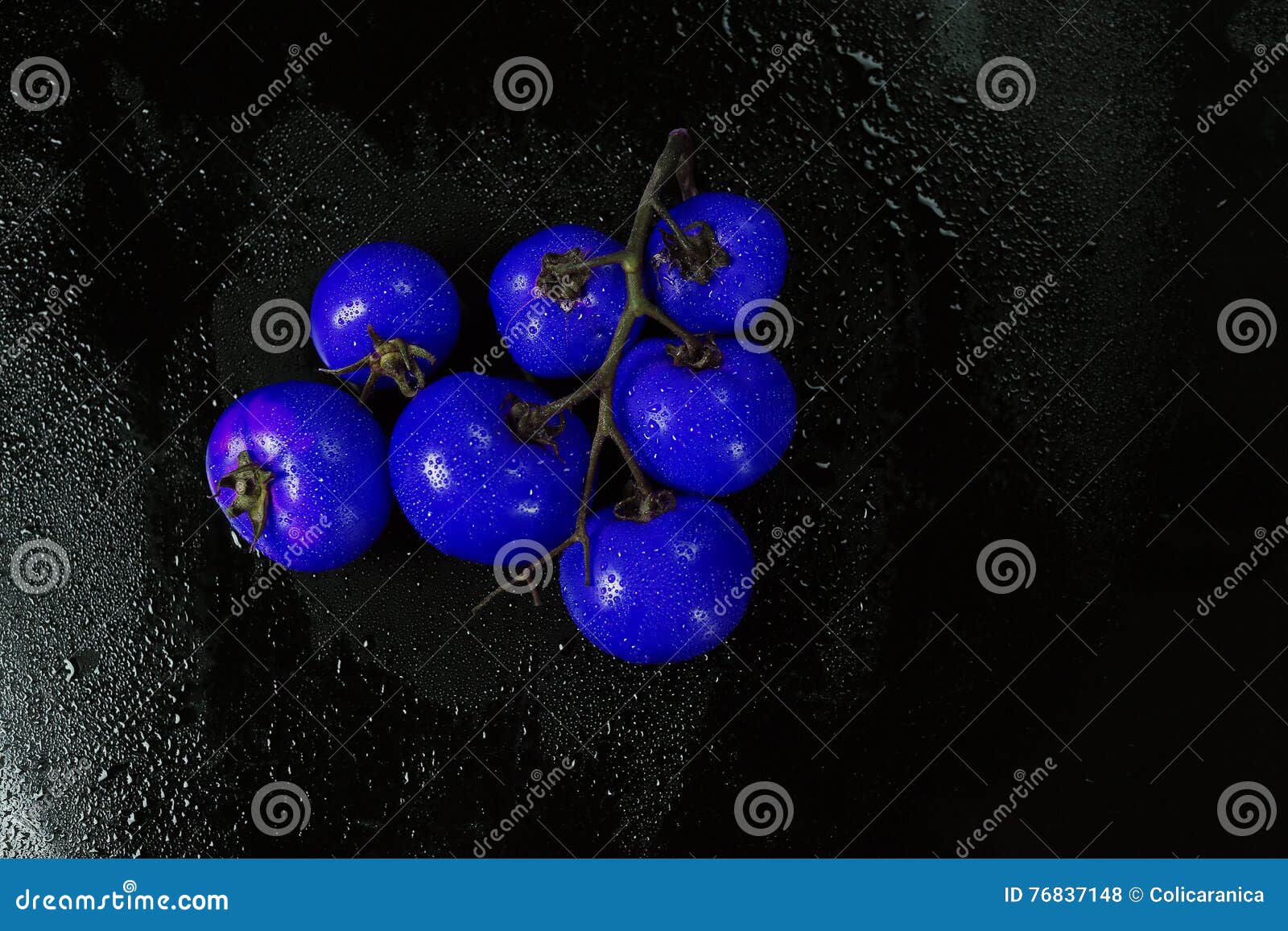 Blue tomatoes stock photo. Image of plant, market, vegetable - 76837148