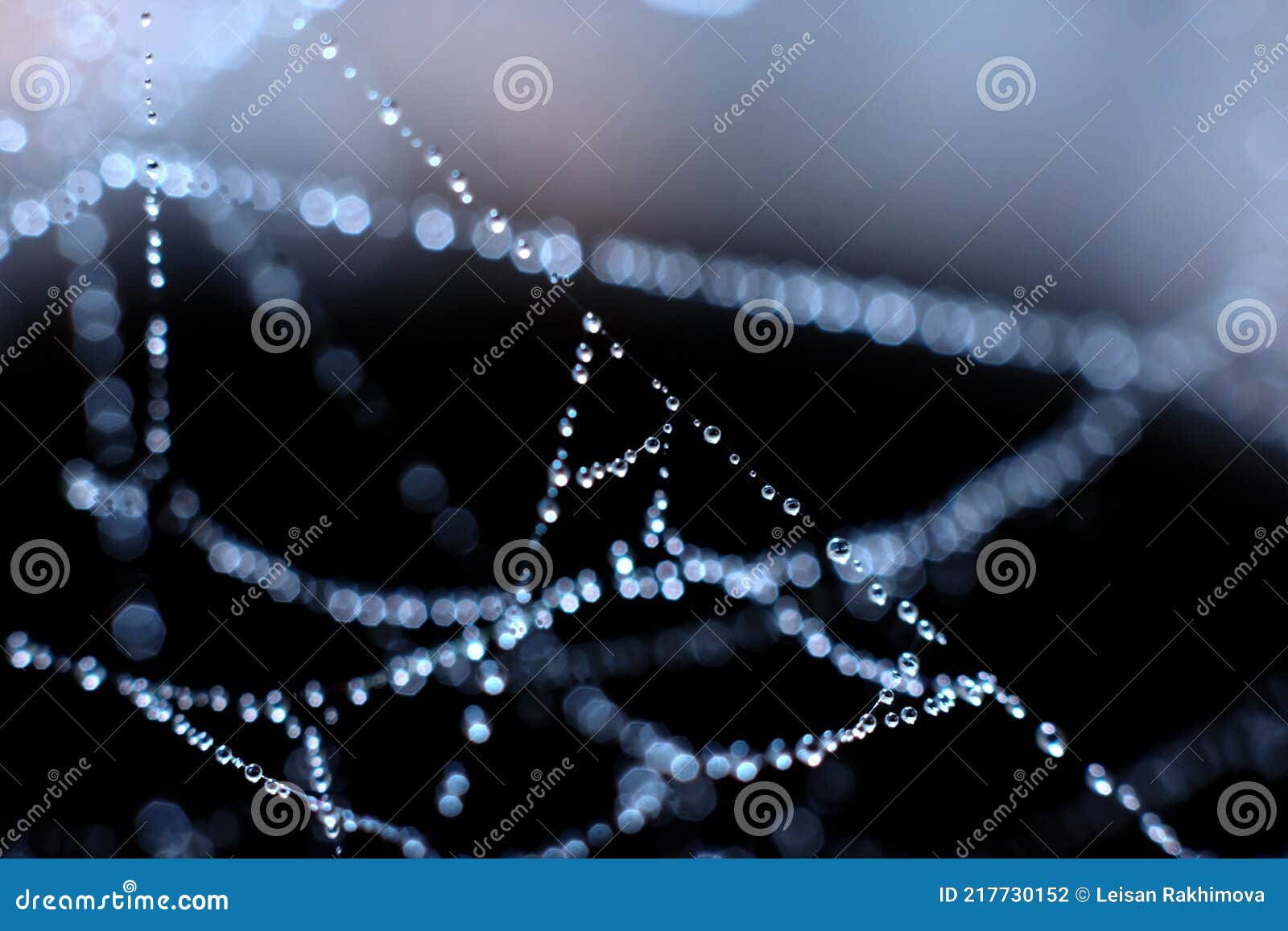Blue Toned Natural Backdrop Made of Filigree Spiderweb.Complicate ...