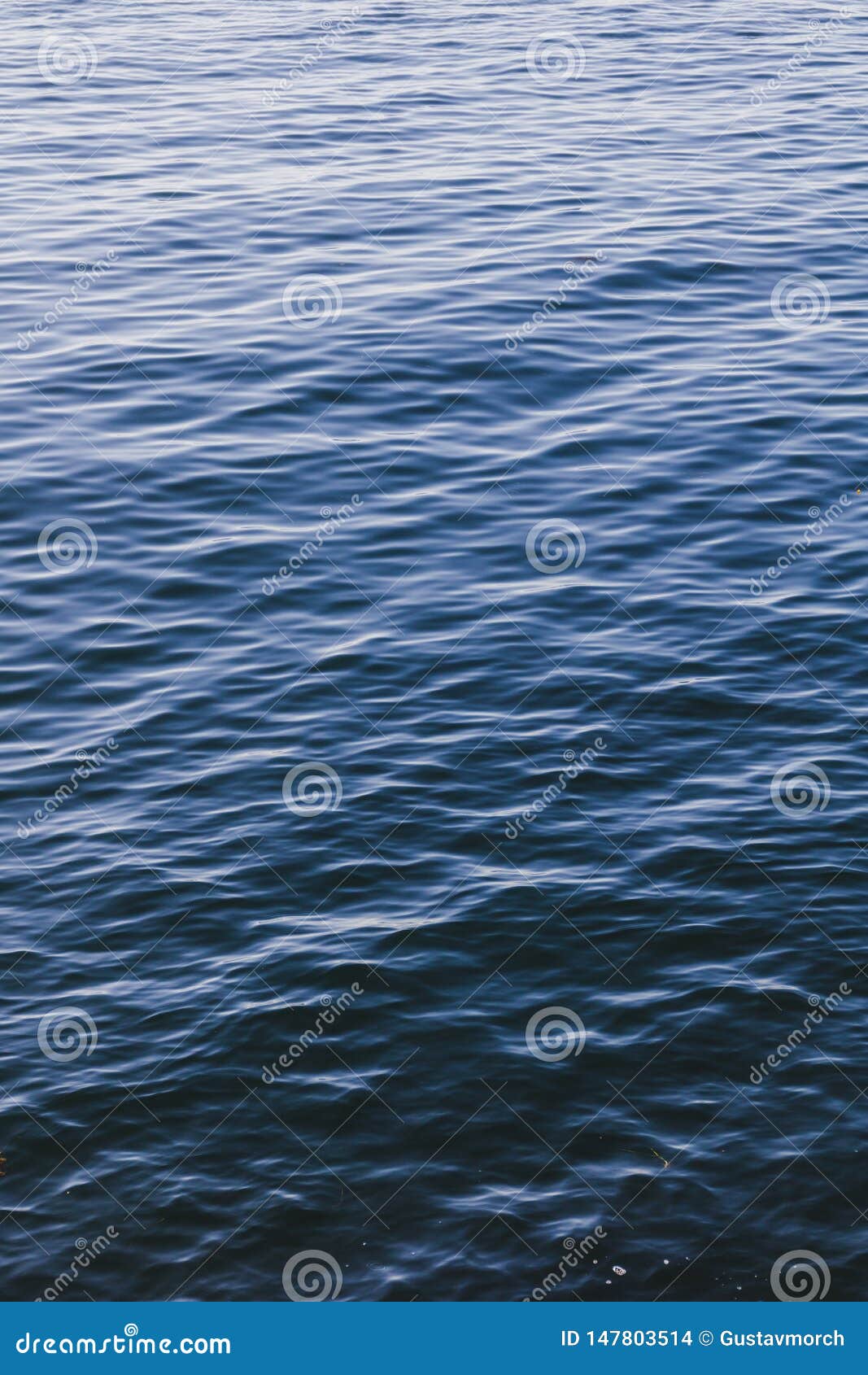 The Blue Tones of the Ocean! Stock Photo - Image of lake, nuances ...