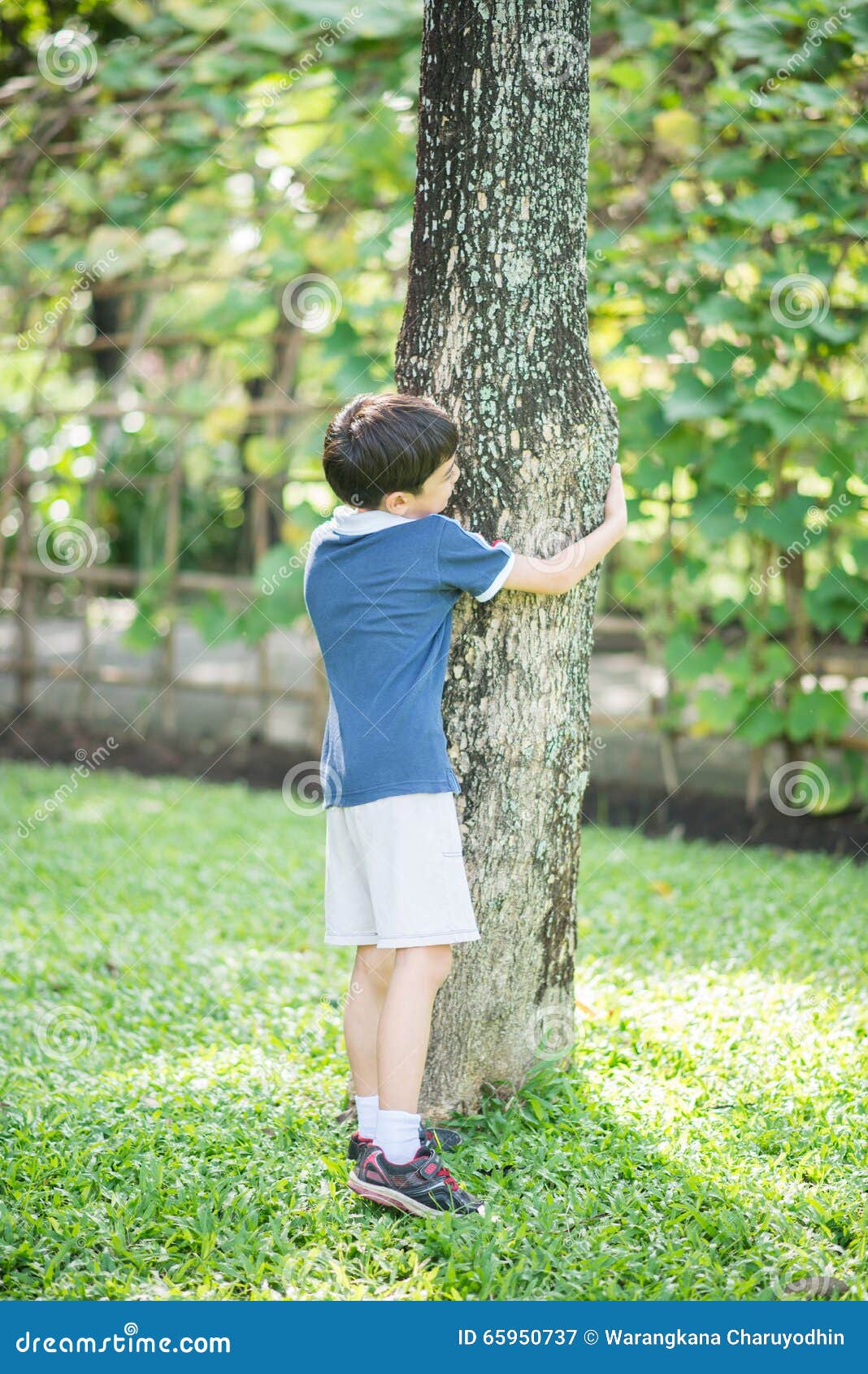 Blue Top Boy is Hugging the Tree Stock Image - Image of love, people ...