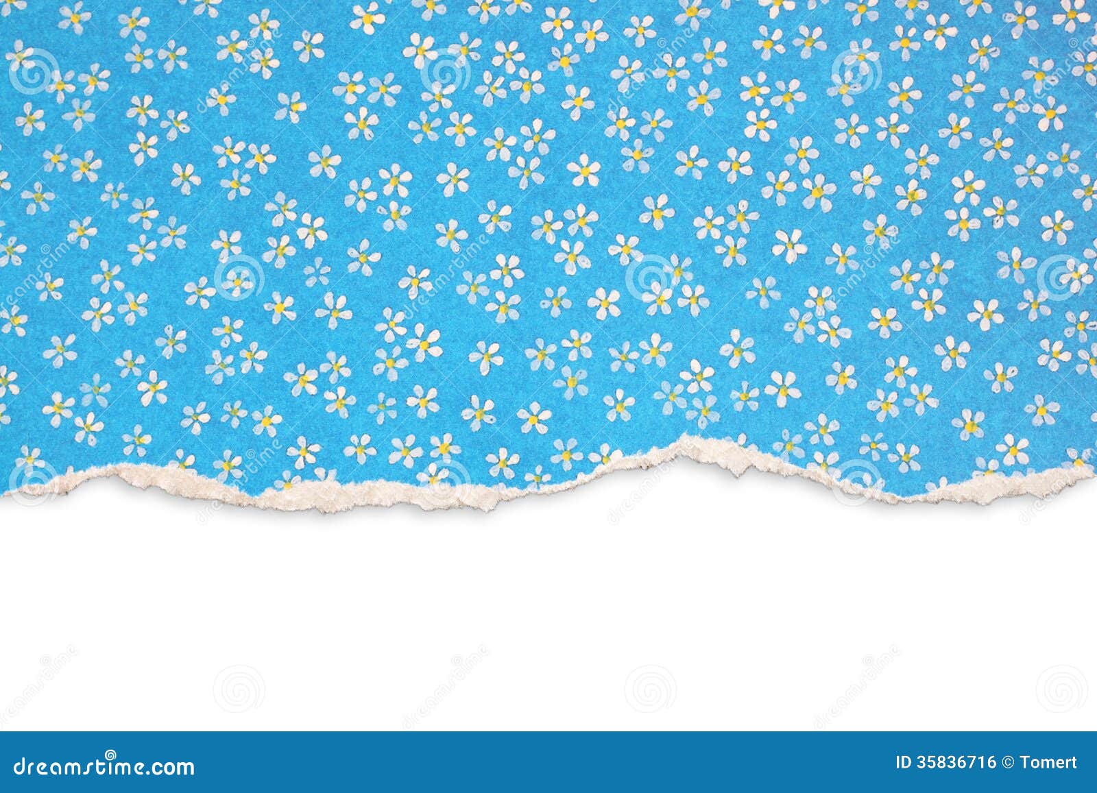 Blue Torn Paper with Floral Pattern Stock Photo - Image of background ...