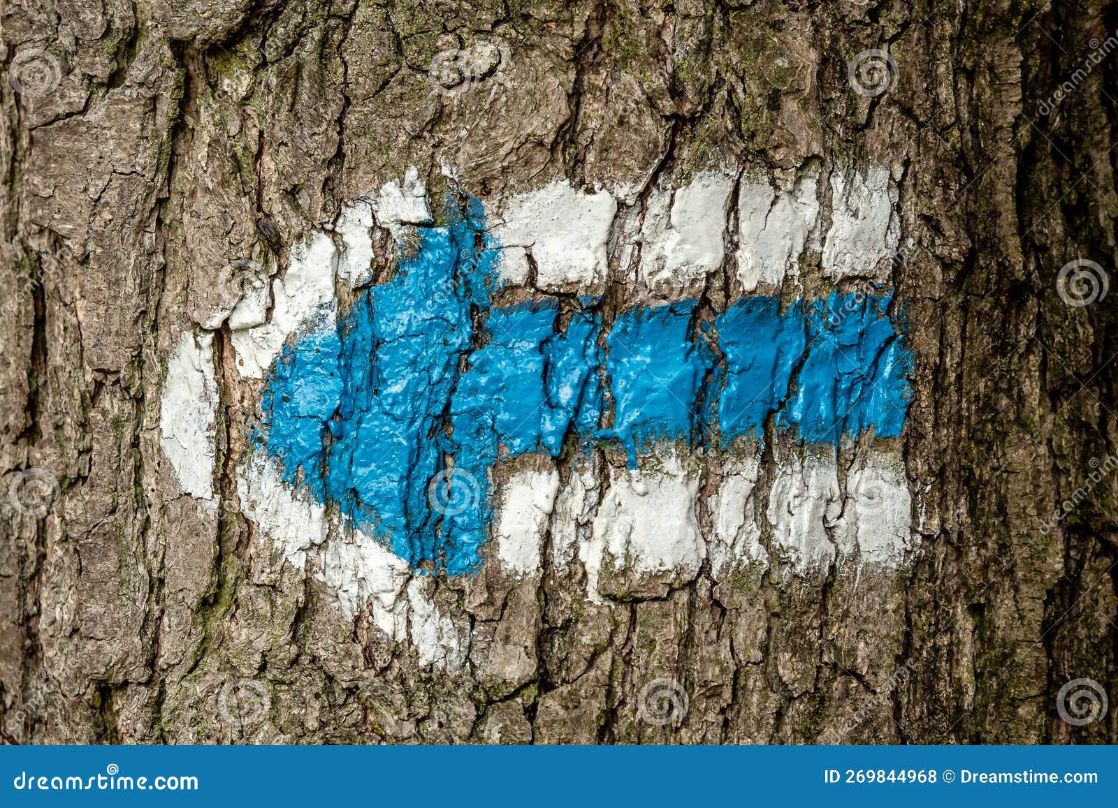 Blue Tourist Sign on a Tree Trunk Stock Photo - Image of guide, tourism ...