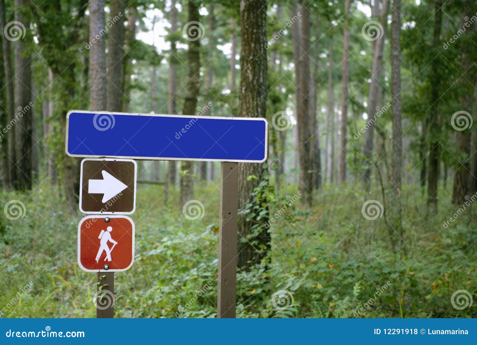 Blue Traffic Sign With A Question Mark Stock Photography ...