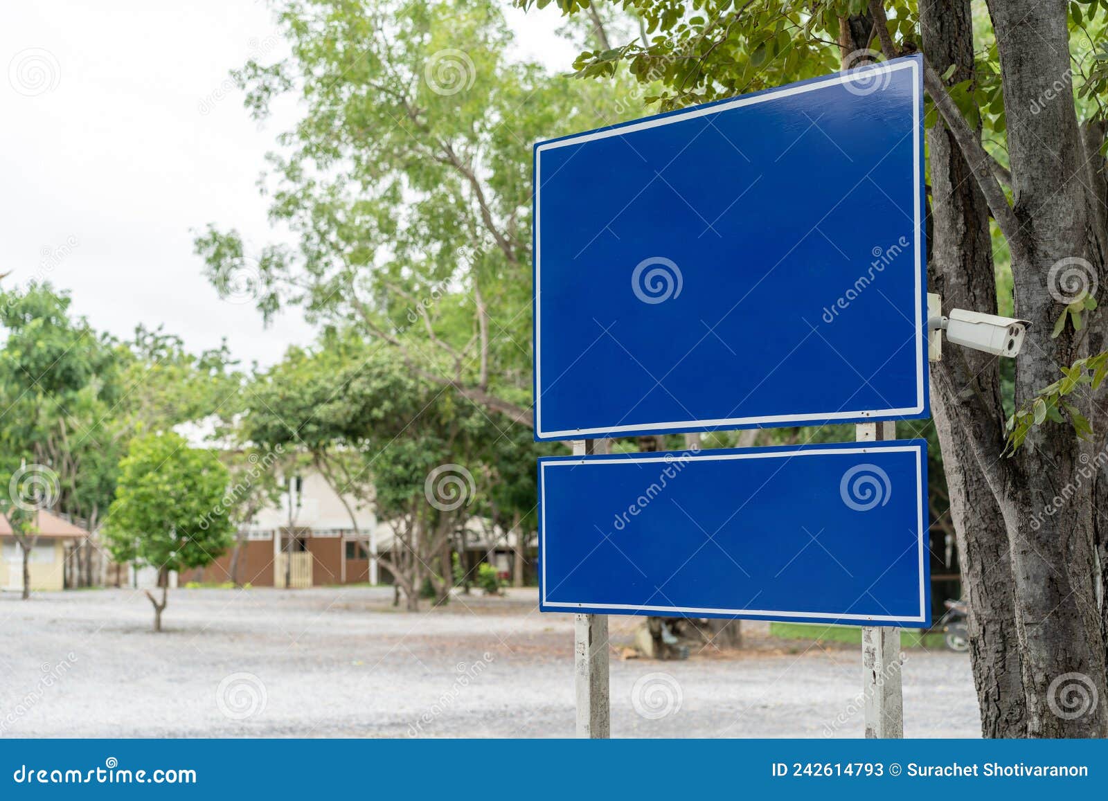 Blue Traffic Sign in Paking Lots with Tree Around. Clipping Paths Stock ...