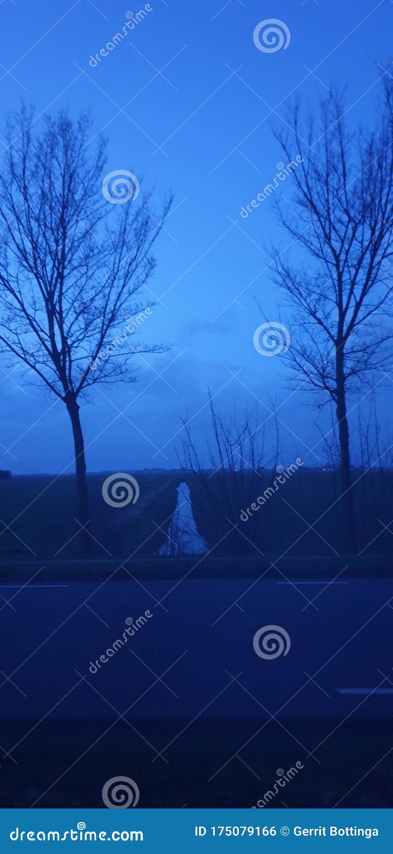 Blue tree landscape stock photo. Image of green, landscape - 175079166