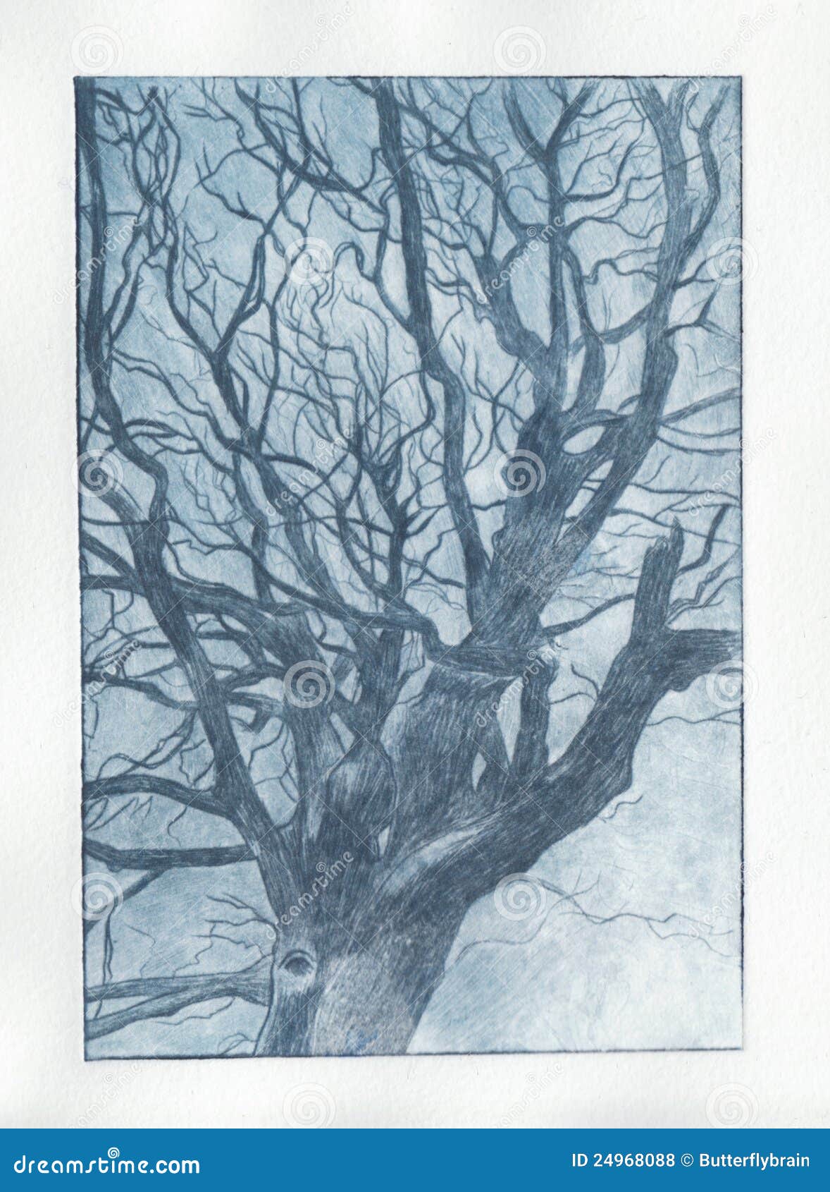 Blue tree print stock illustration. Illustration of winter - 24968088