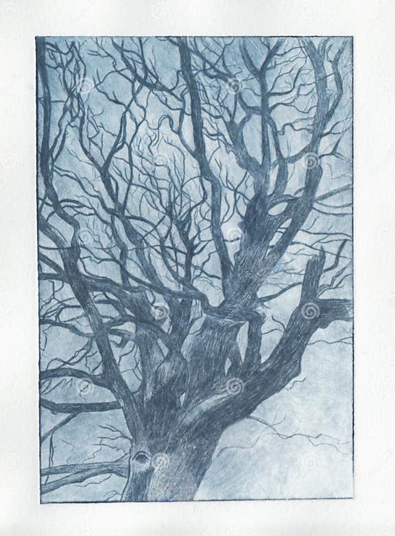 Blue tree print stock illustration. Illustration of winter - 24968088