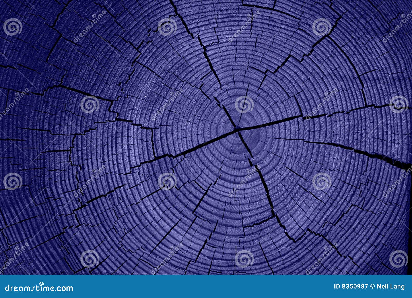 Circular Cross Section Of Gas Cylinder Regulator Stock Image ...