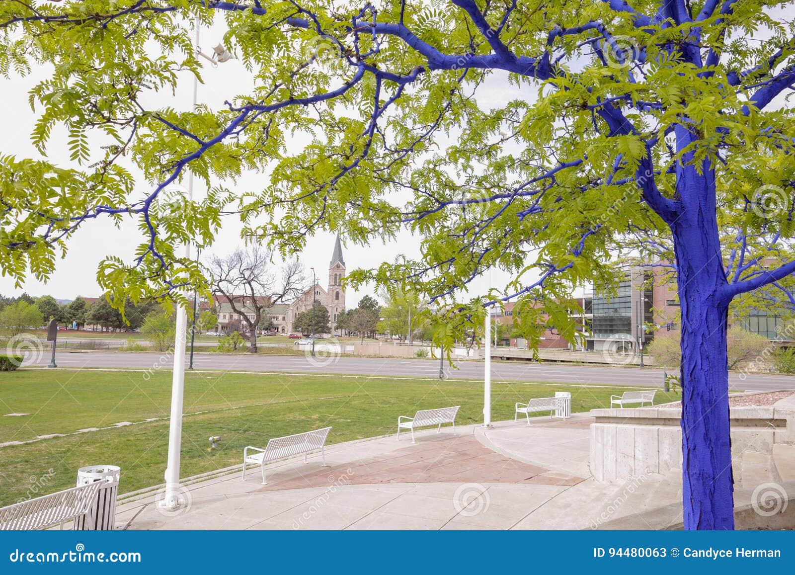 Blue Trees in Downtown Denver Editorial Stock Photo - Image of global ...