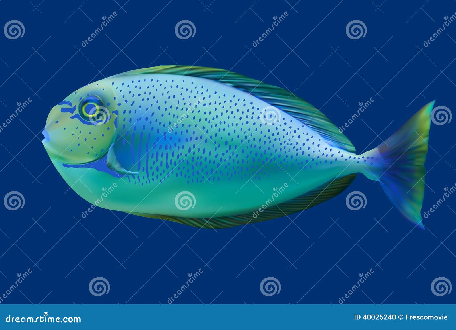 Queen Trigger Fish Vector Illustration Transparent Background ...