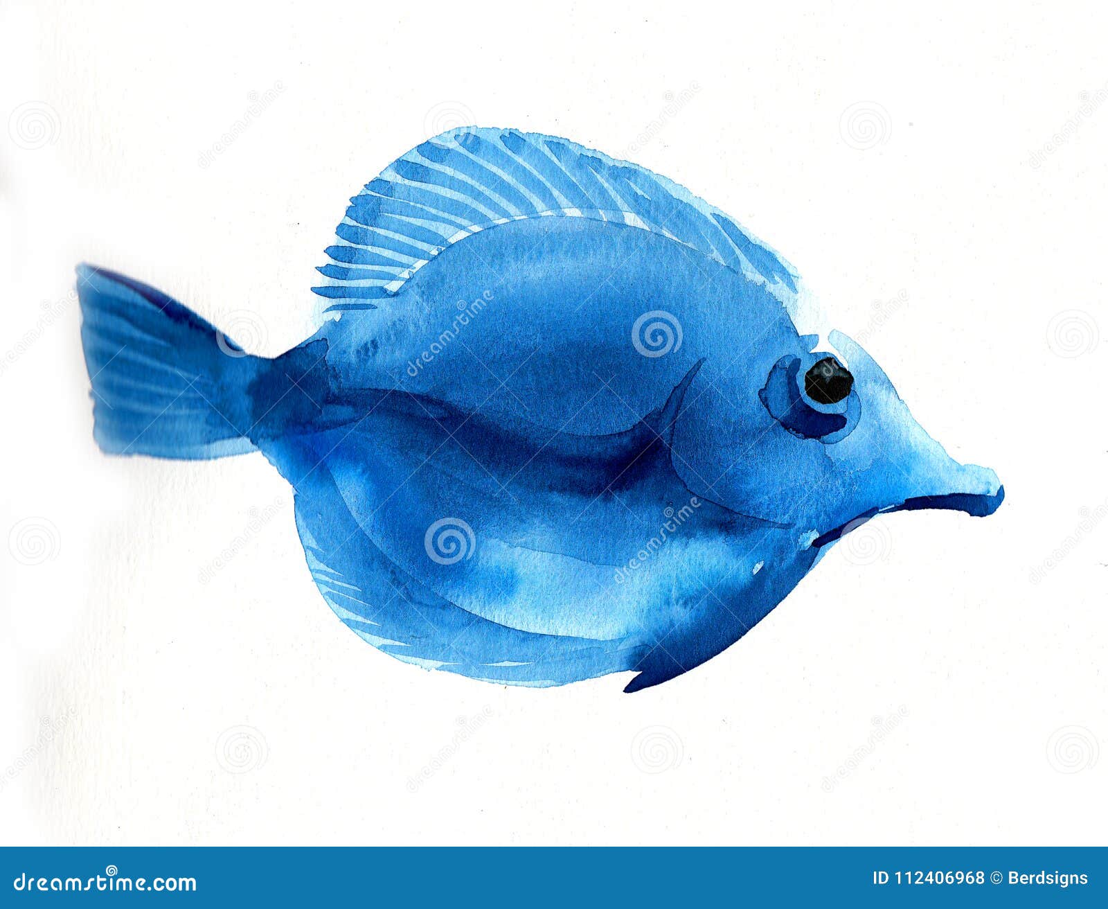 Blue tropical fish stock illustration. Illustration of sketch - 112406968