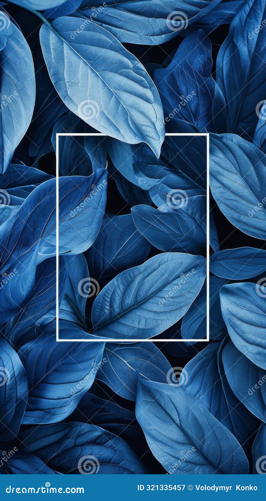 Blue Tropical Leaves with Rectangular Frame, Nature Abstract Background ...