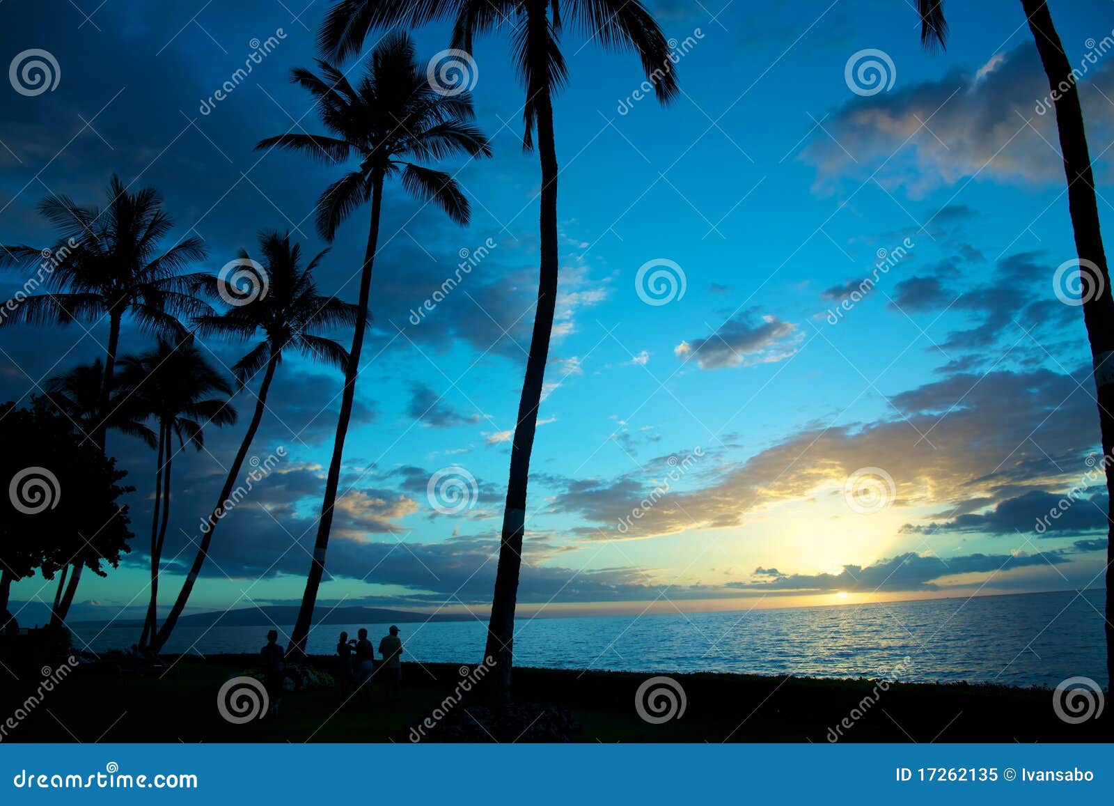 Blue Tropical Water Lily Stock Image | CartoonDealer.com #48952057