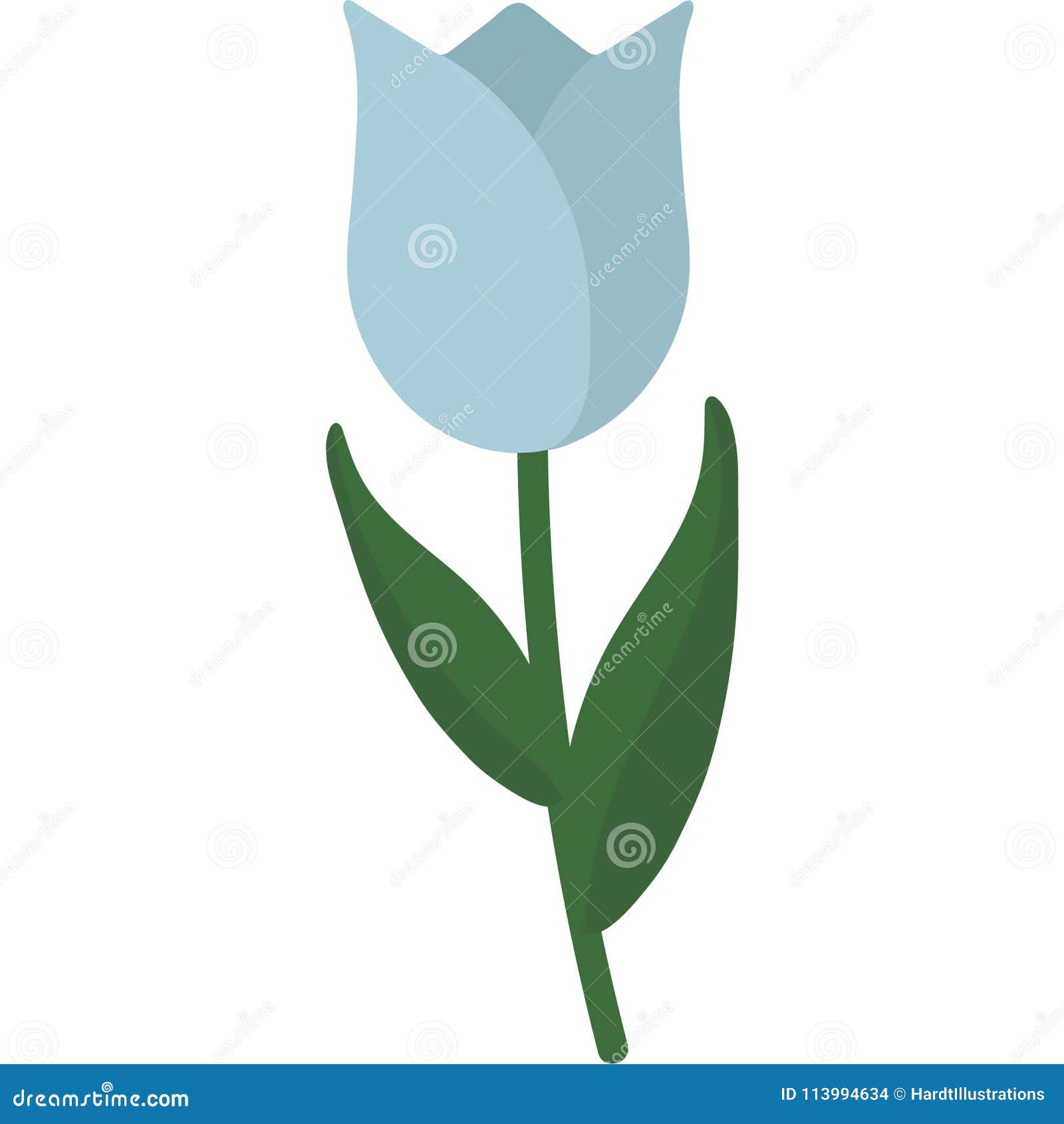 Blue Tulip Clipart