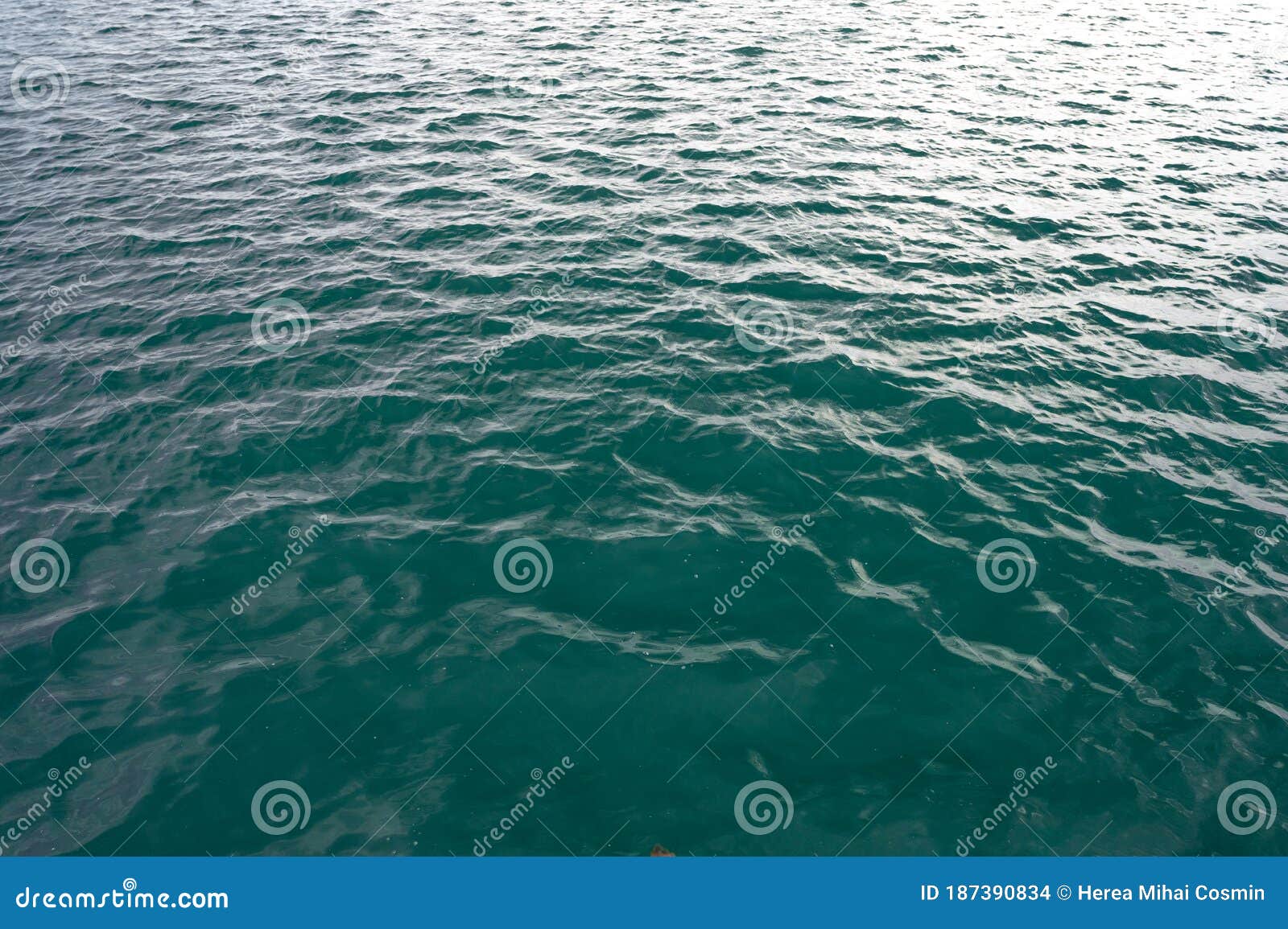 Wave Structure Royalty-Free Stock Photo | CartoonDealer.com #97255959