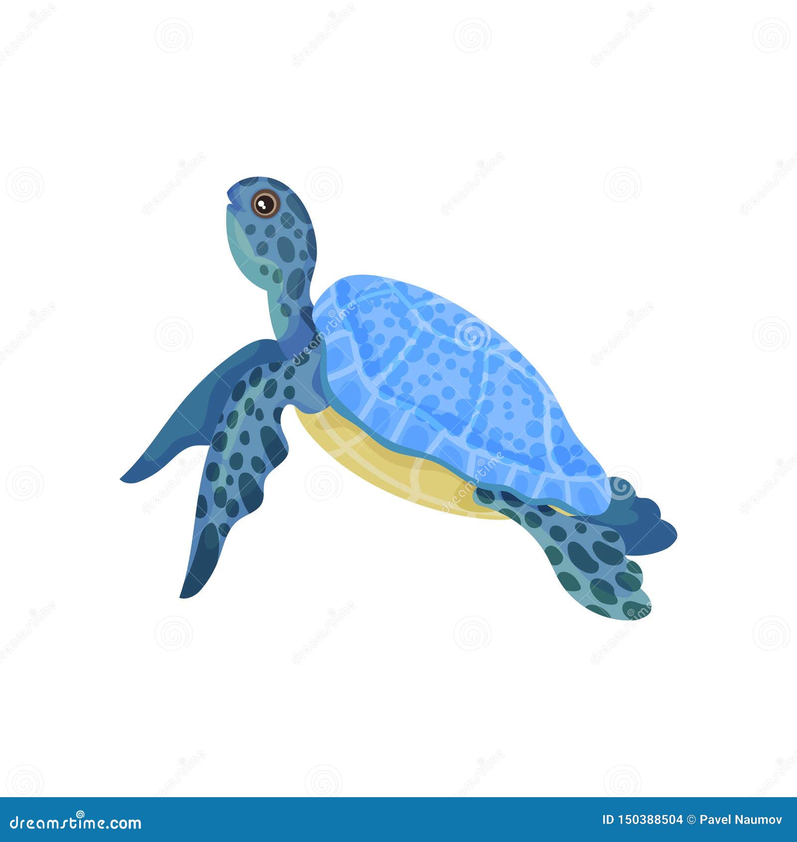 Turtle with Light Blue Armor. Vector Illustration on White Background ...