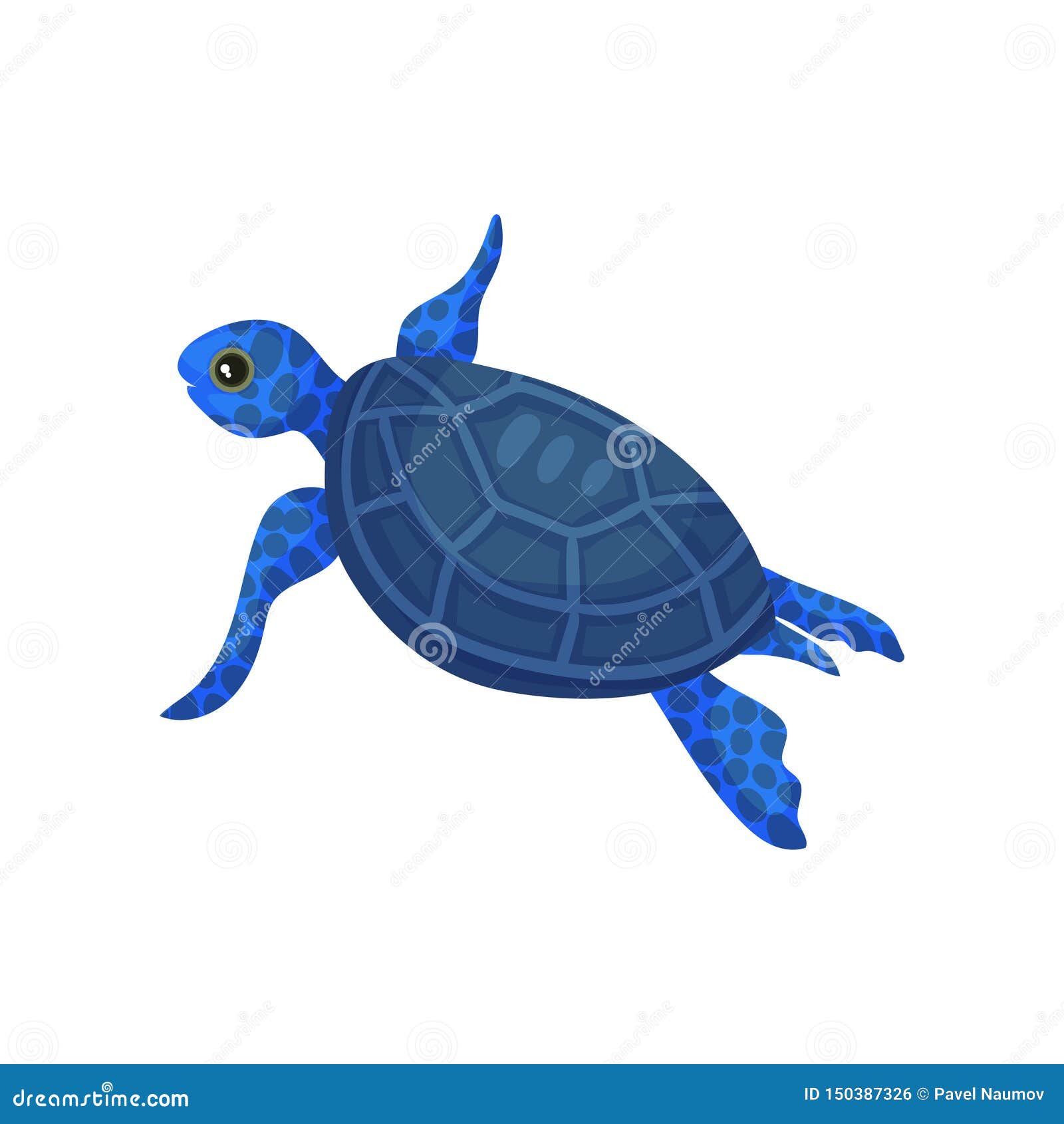 A Blue Turtle Holding A Blank Signboard Template. Doodle Icon Image ...