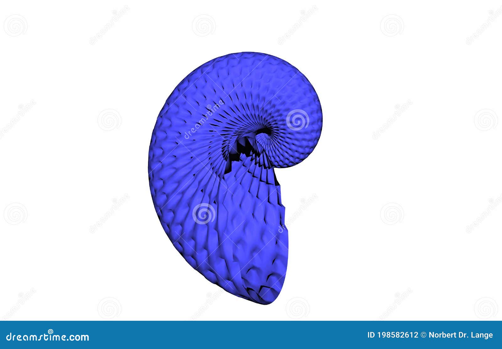 Blue twisted sea shell stock illustration. Illustration of grafik ...