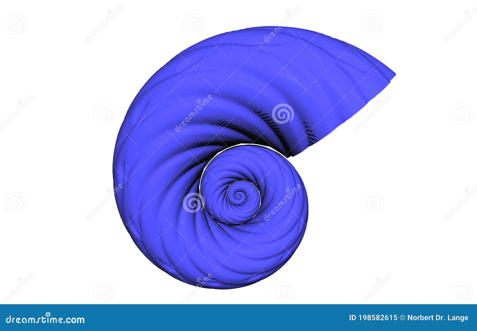 Blue twisted sea shell stock illustration. Illustration of grafik ...