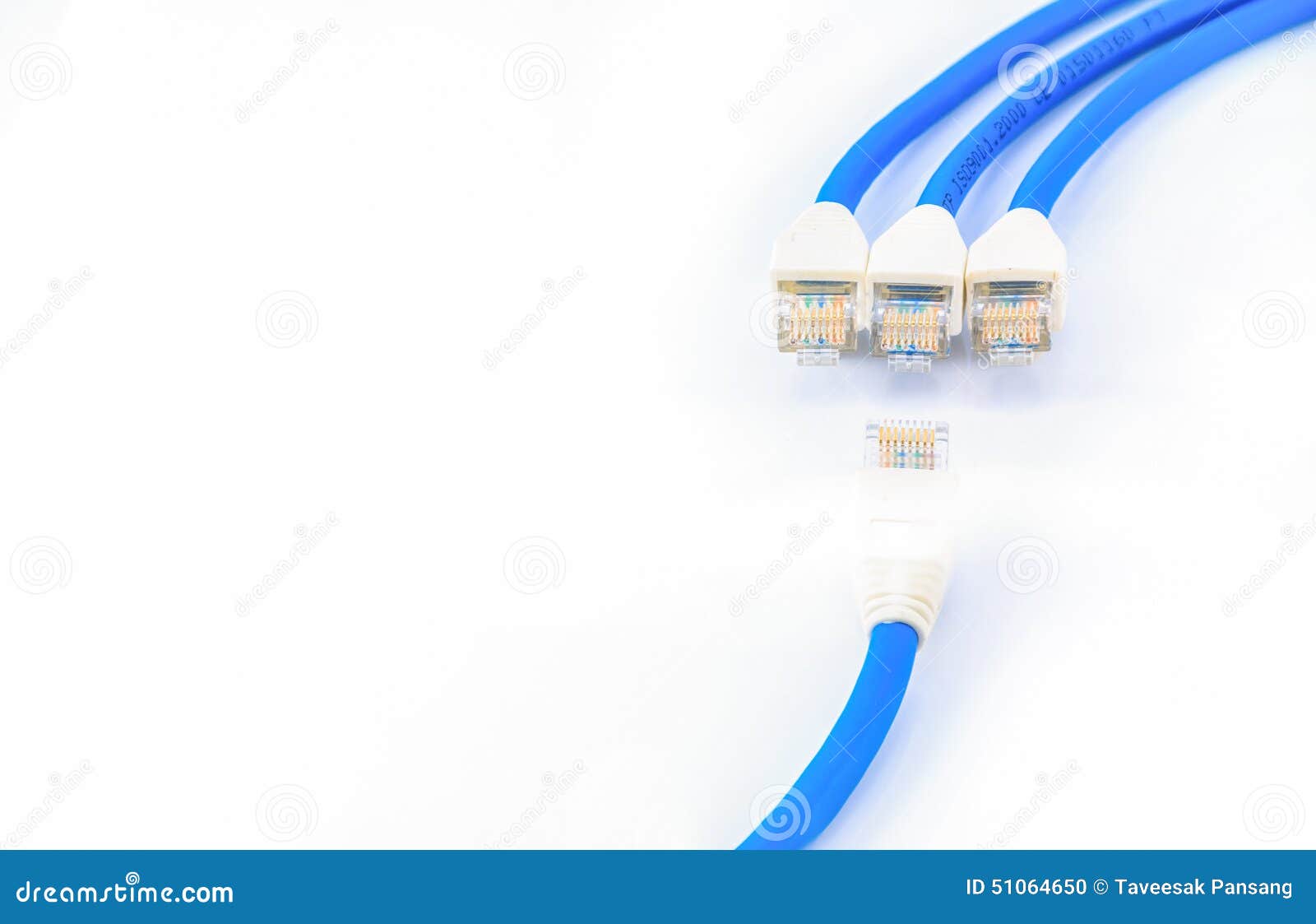 Blue utp cable stock photo. Image of background, cord - 51064650