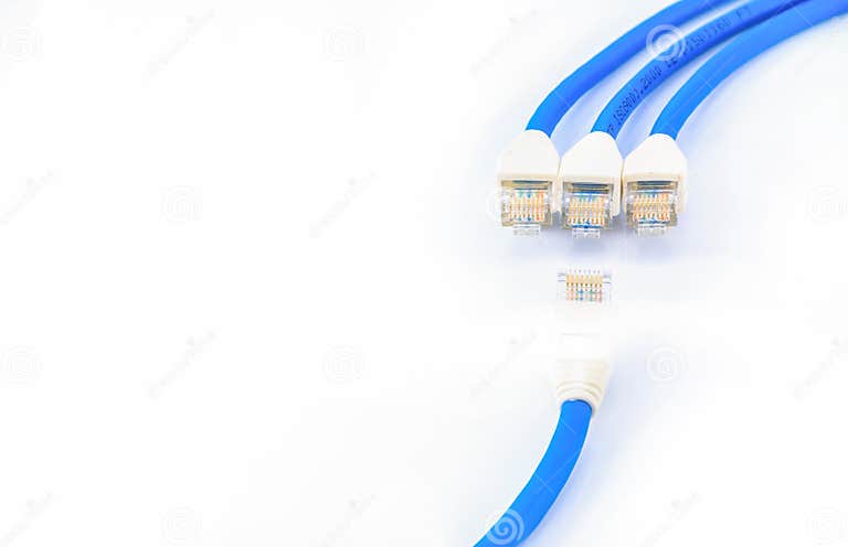 Blue utp cable stock photo. Image of background, cord - 51064650