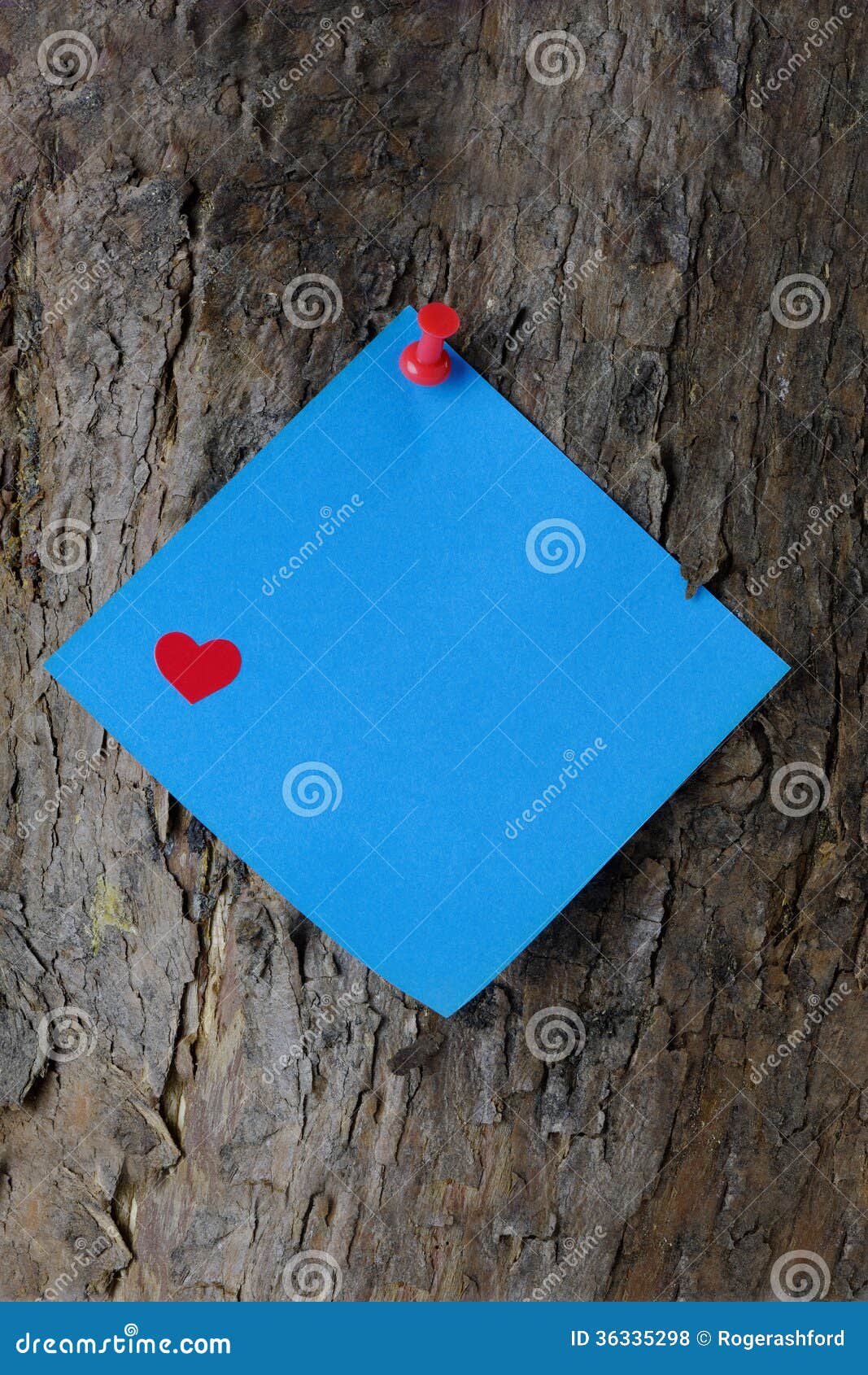 Blue Valentine Post it Note on a Tree Trunk Stock Photo - Image of ...