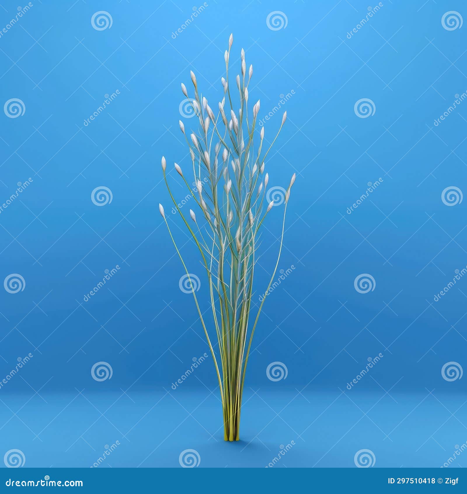 Blue Vase with Long, White Stems and Leaves. these Stems are Placed in ...