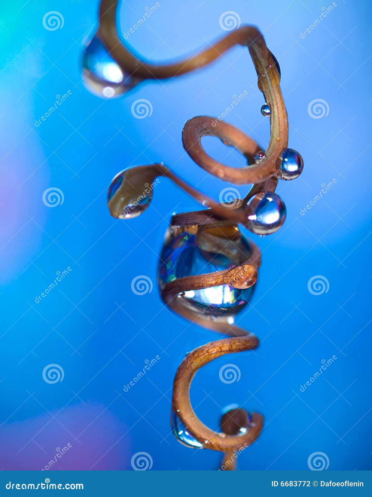 Blue Vine stock photo. Image of colors, plant, background - 6683772