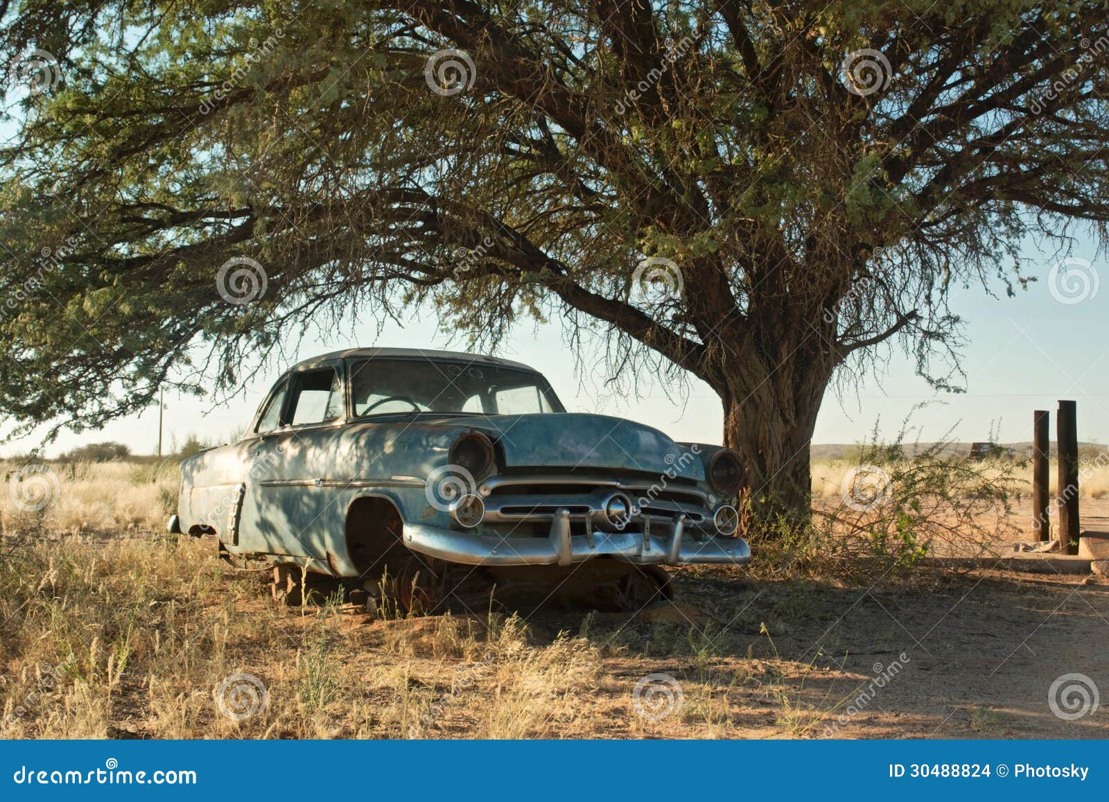 Blue Vintage Car Under Tree Stock Photo - Image of chassis, road: 30488824