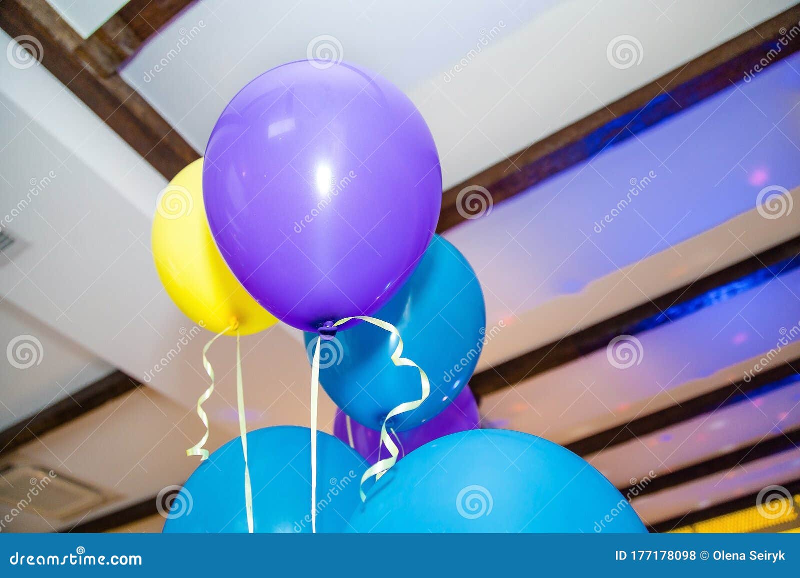Blue, Violet, Yellow Helium Balloons at the Ceiling Stock Photo - Image ...