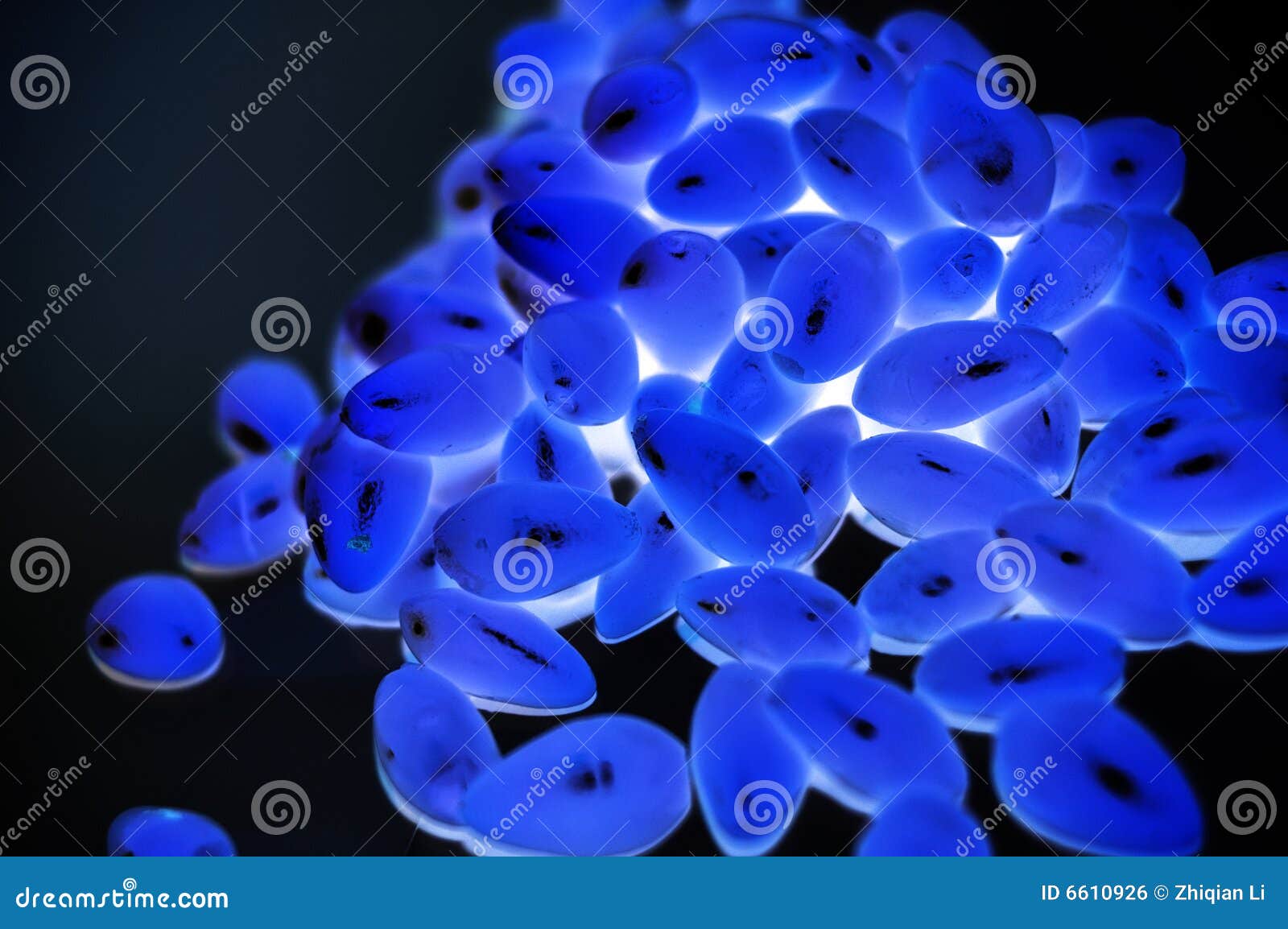 Blue virus stock photo. Image of swine, abstract, terriable - 6610926