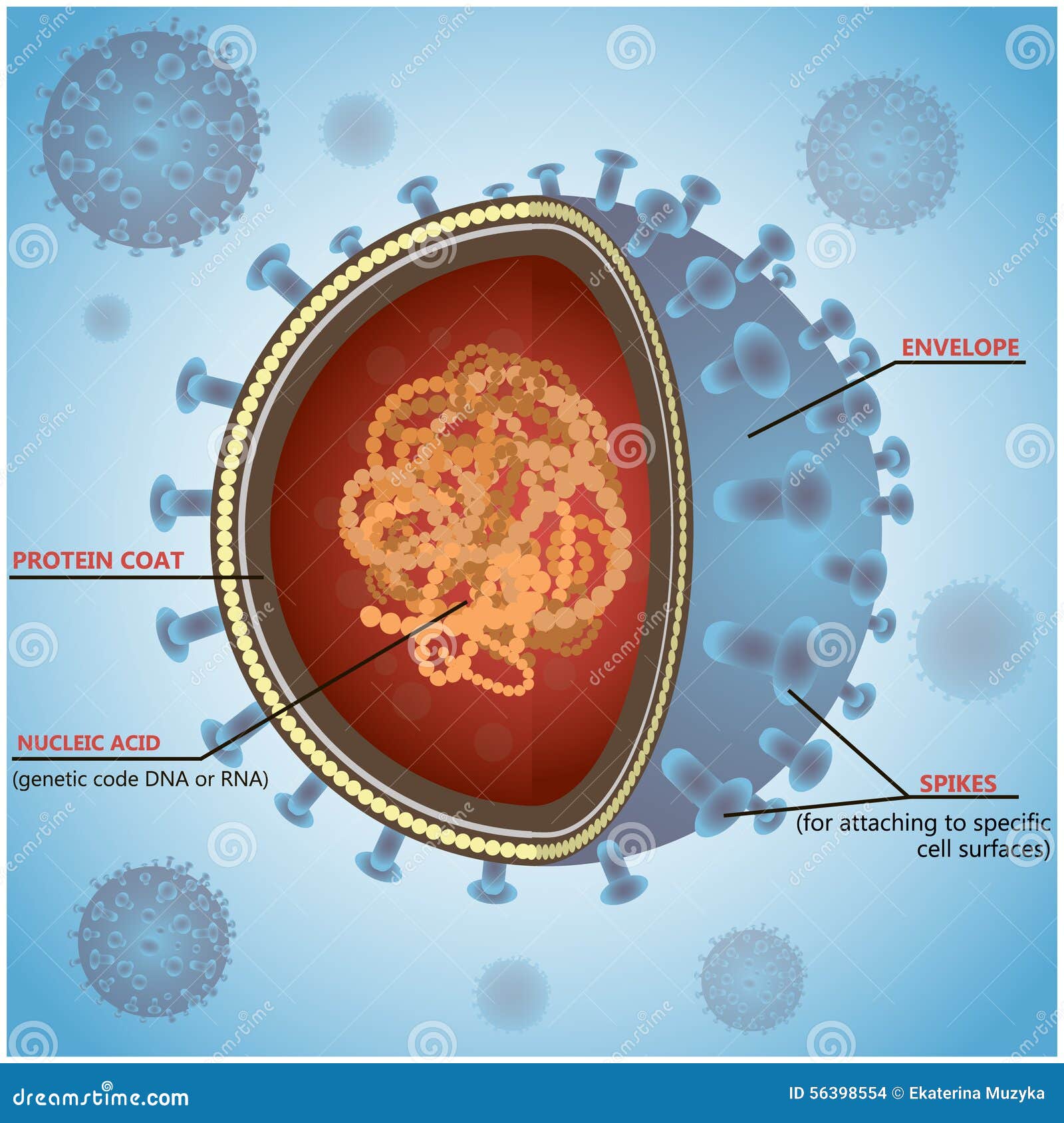 Blue Virus Icon In Cartoon Style Isolated On White Background. Viruses ...