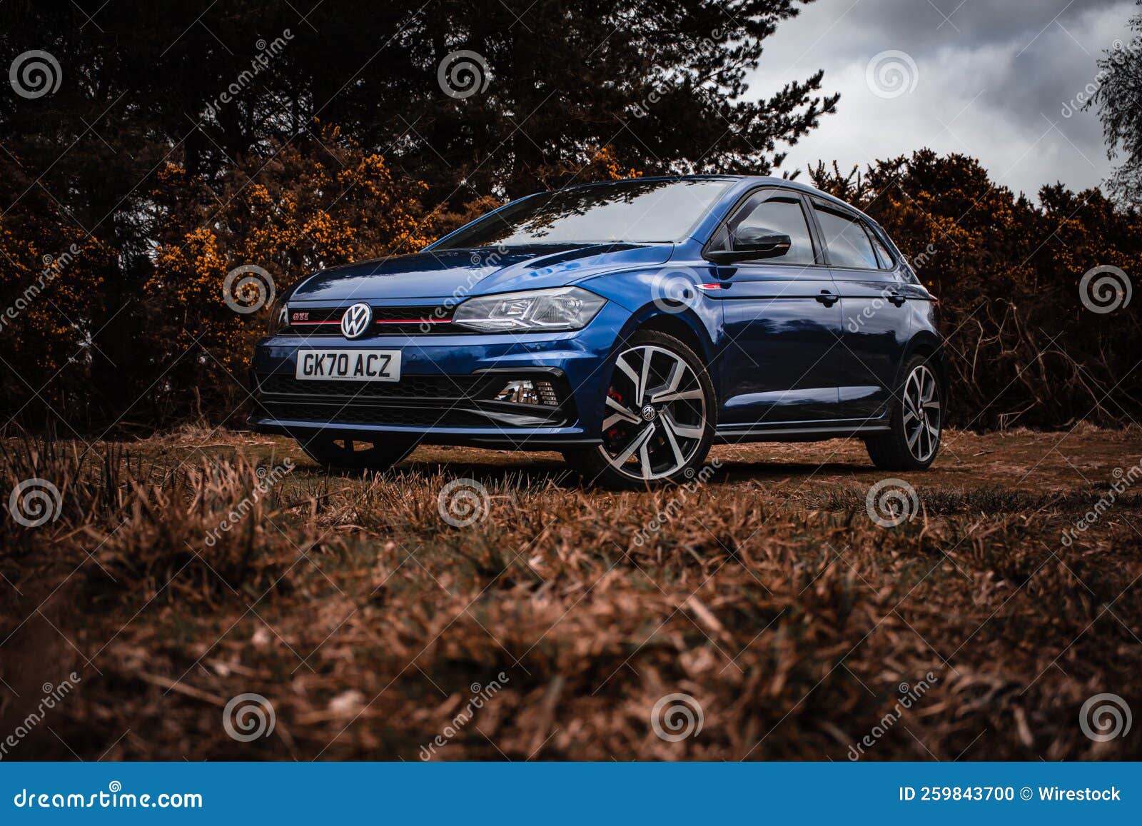 Volkswagen Polo Stock Illustrations – 242 Volkswagen Polo Stock ...