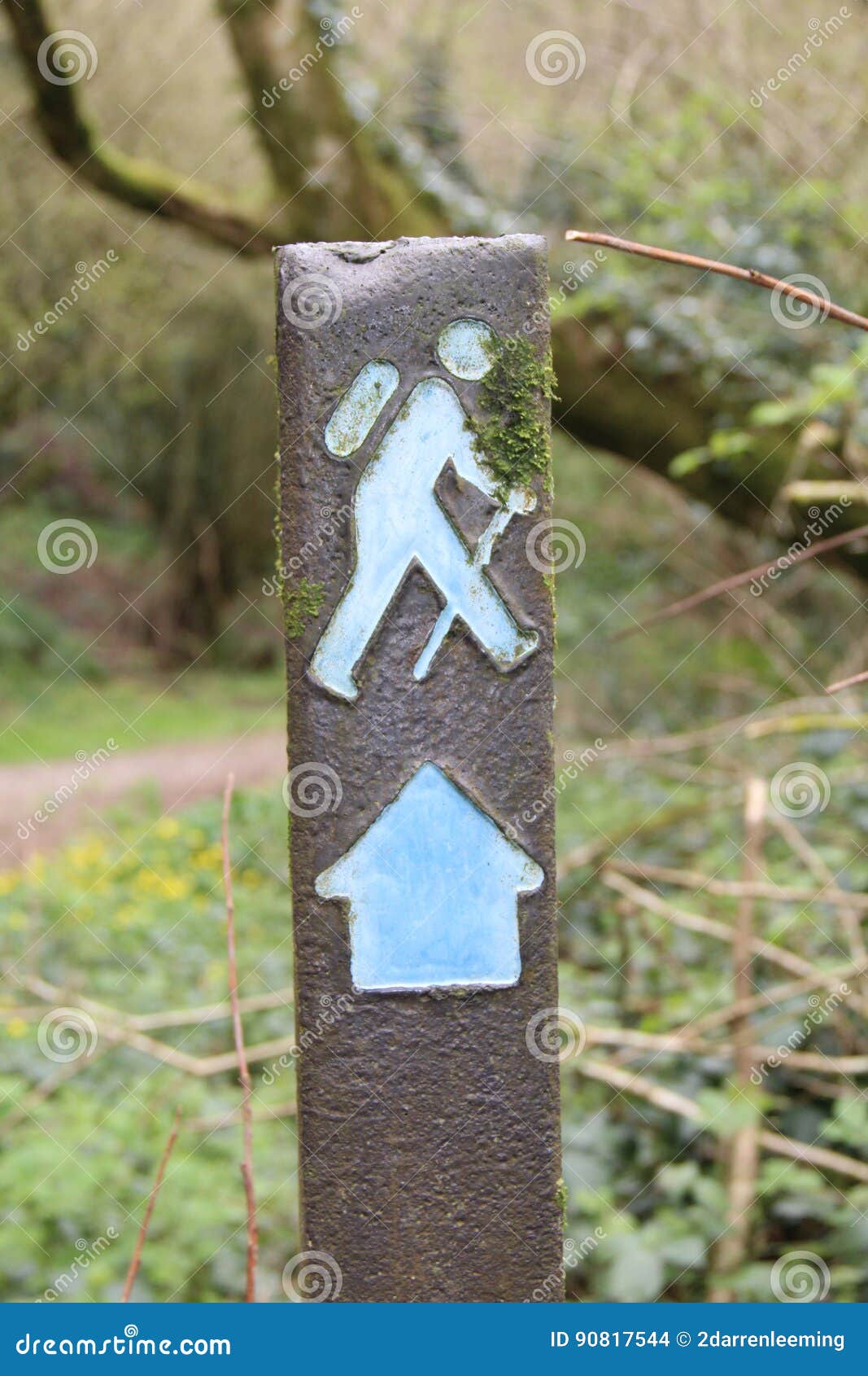 Blue walking route sign stock photo. Image of green, blue - 90817544