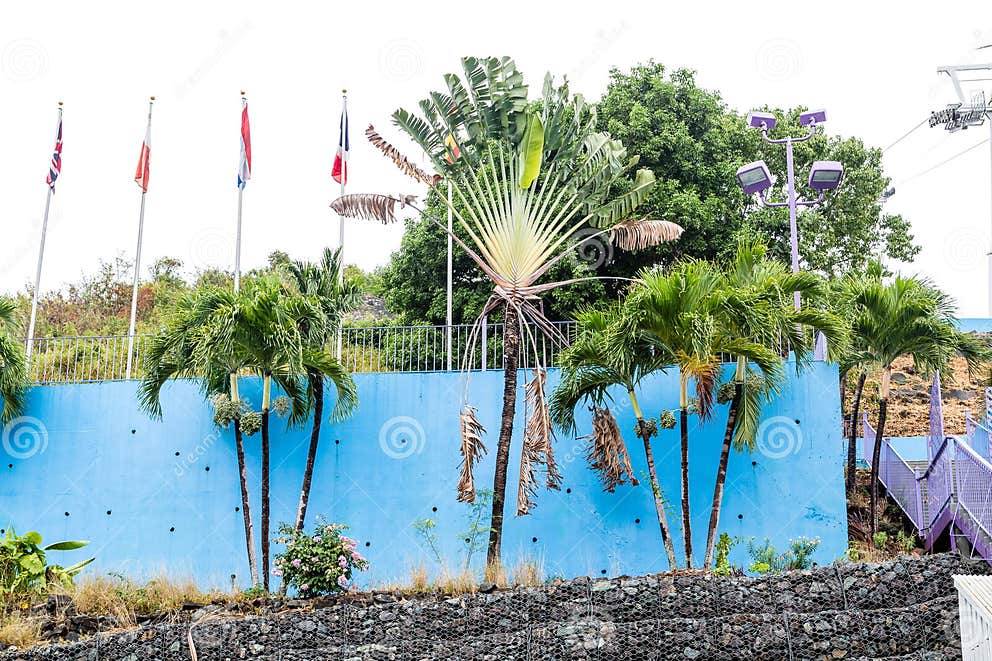 Blue Wall with Flags in Tropics Stock Image - Image of wall, blue: 56016559
