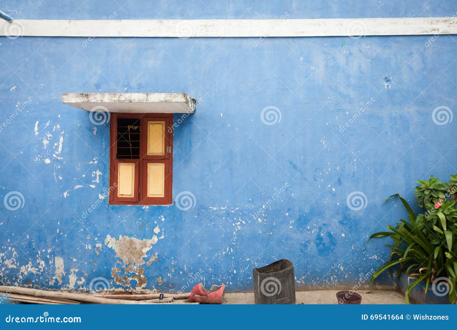 Blue wall with window stock photo. Image of exotic, plant - 69541664