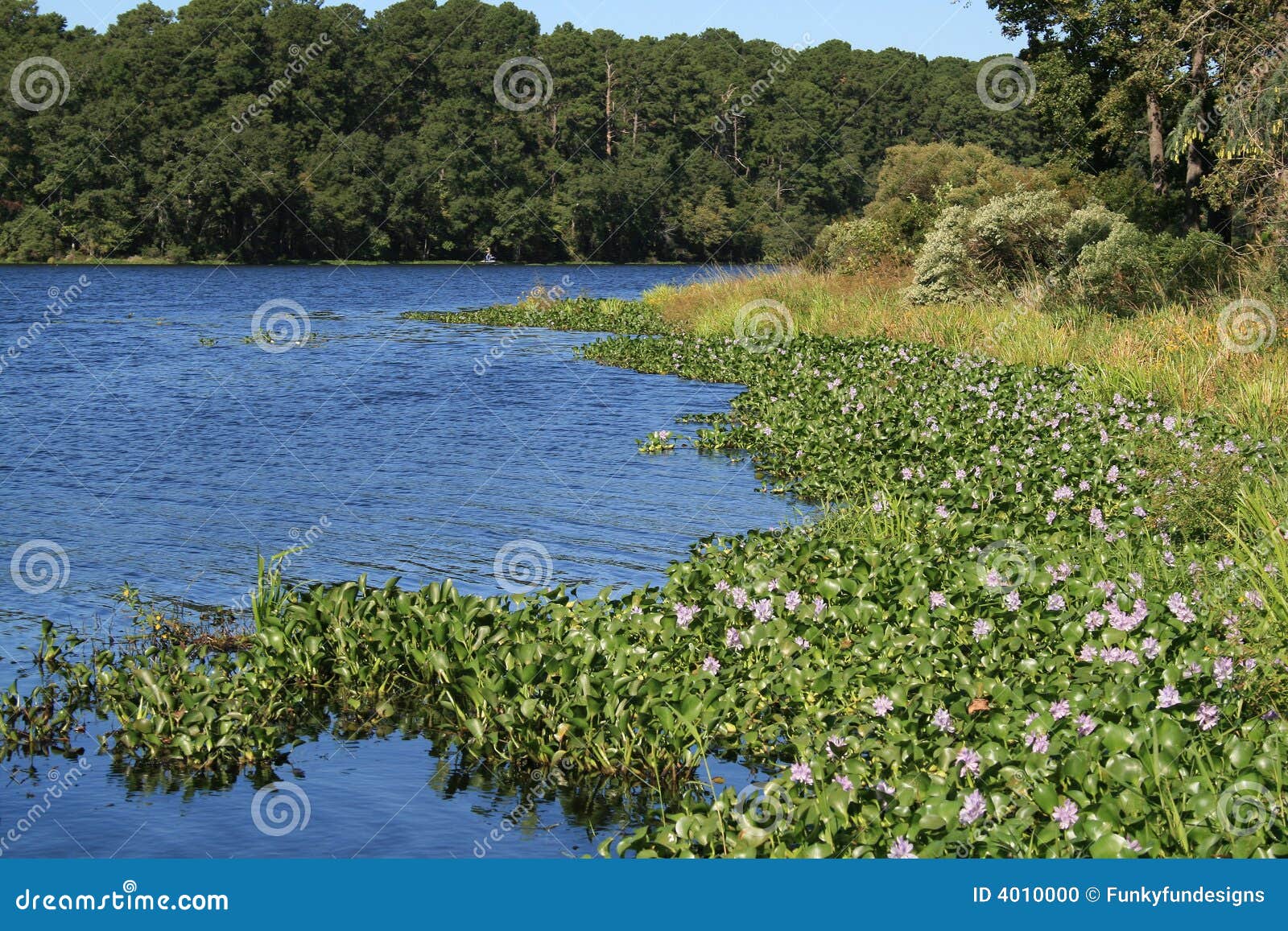 Blue Water stock photo. Image of lakes, rivers, streams - 4010000